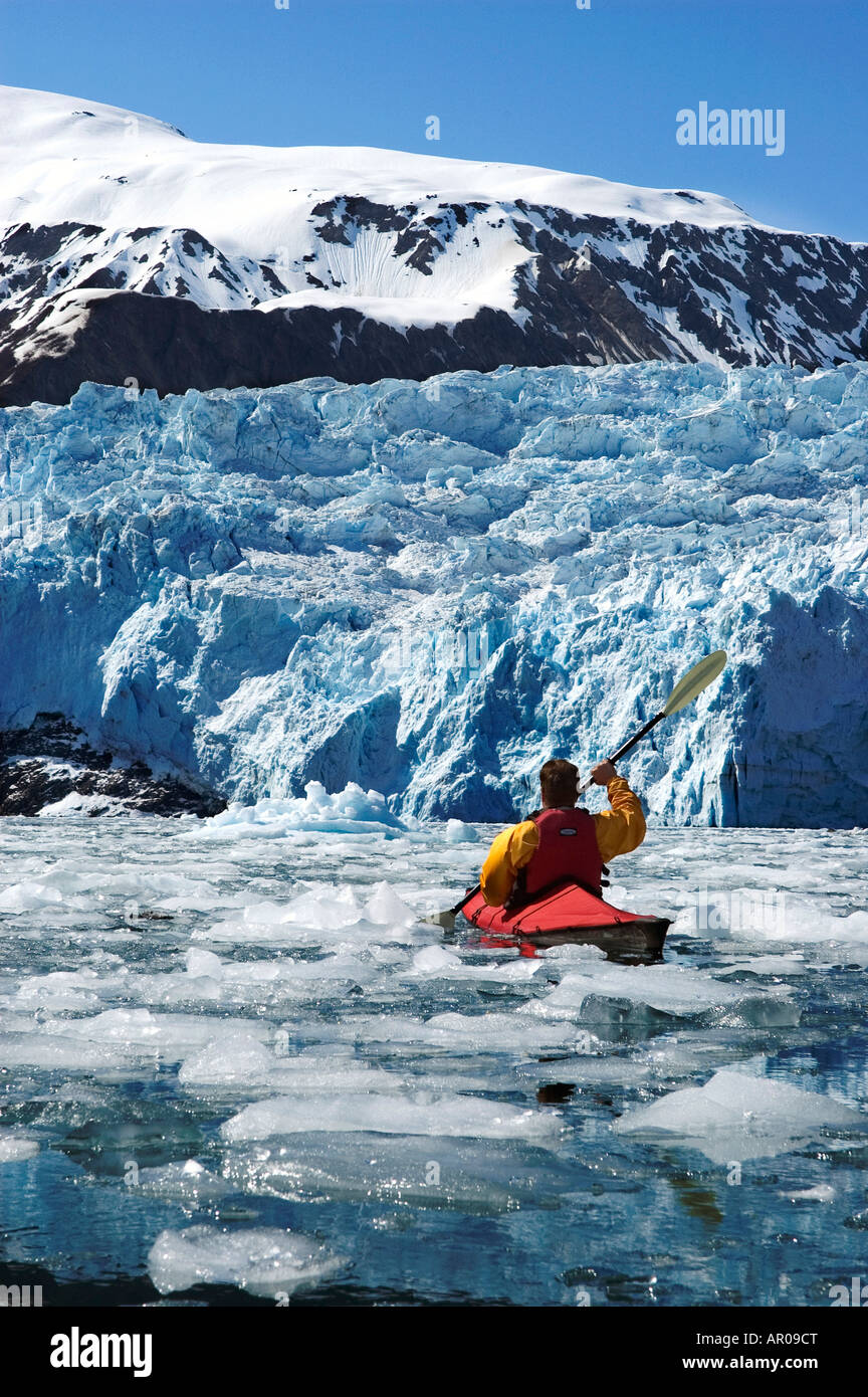Man Kayaks in Ice Floe of Aialik Glacier KP AK Spring Kenai Fjords NP ...