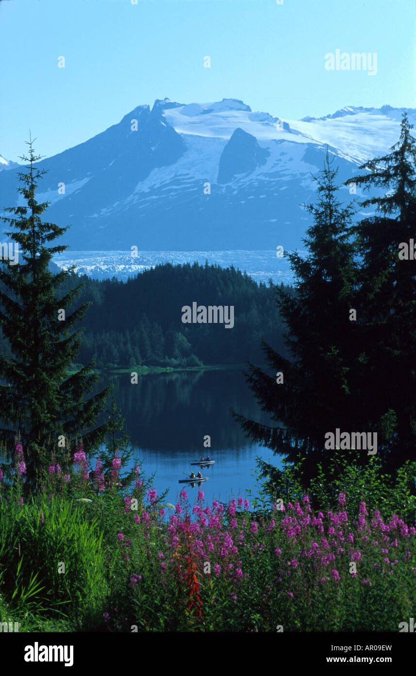 Kayakers Auke Lake Mendenhall Glacier Juneau AK Coast Mtns Fireweed ...