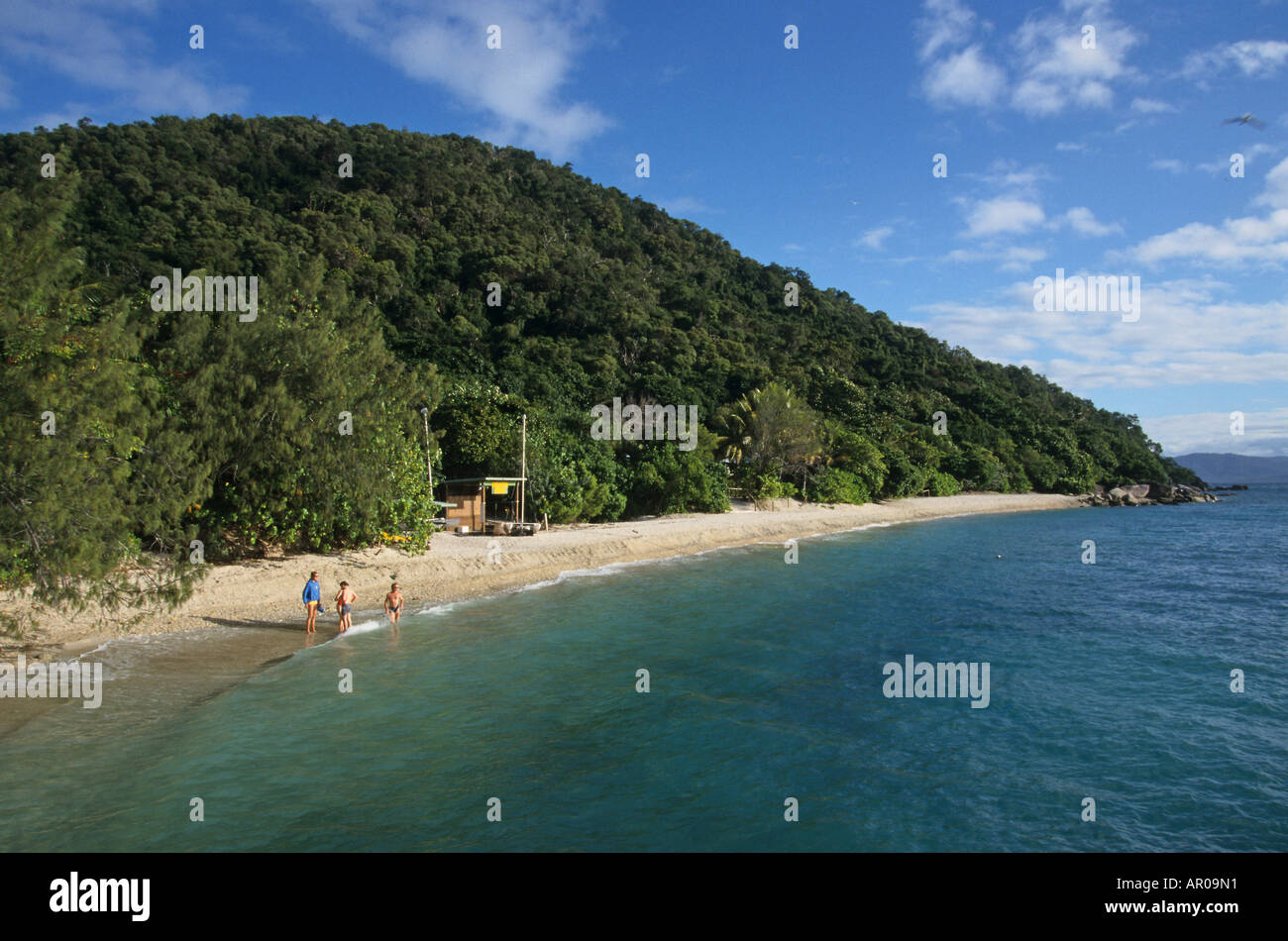 Fitzroy Island, Barrier Reef, Qld, Australien, Queensland, Fitzroy ...