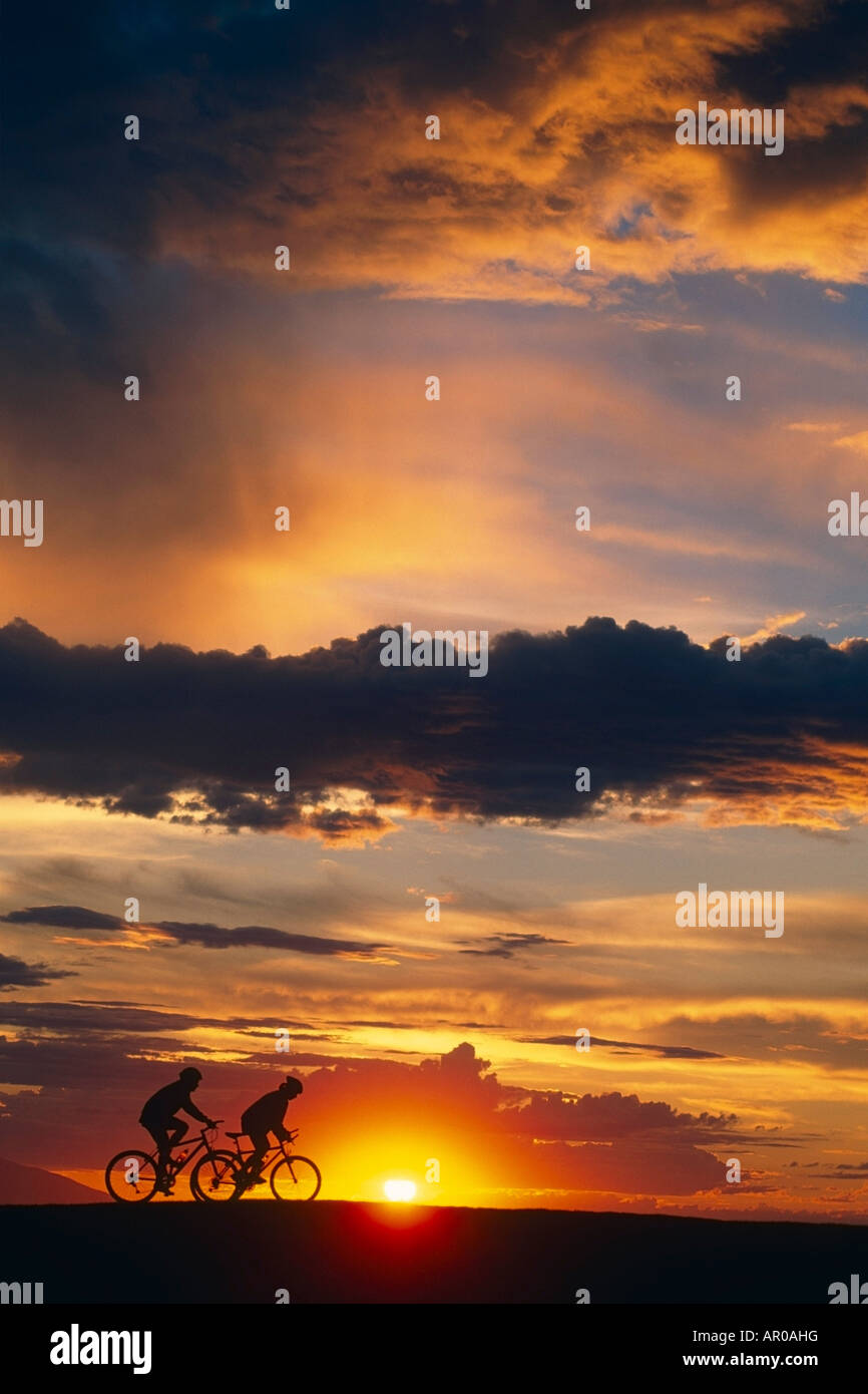 Mountain Bikers Riding @ Sunset Kincaid Park Southcentral Alaska Summer ...