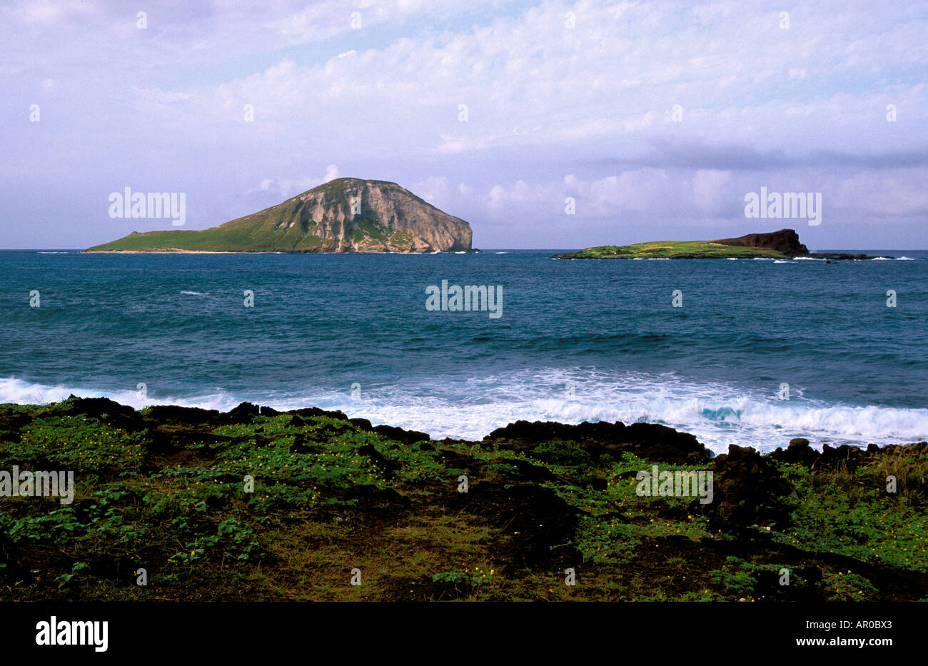 Rabbit Island off the coast of Oahu Hawaii USA Stock Photo - Alamy
