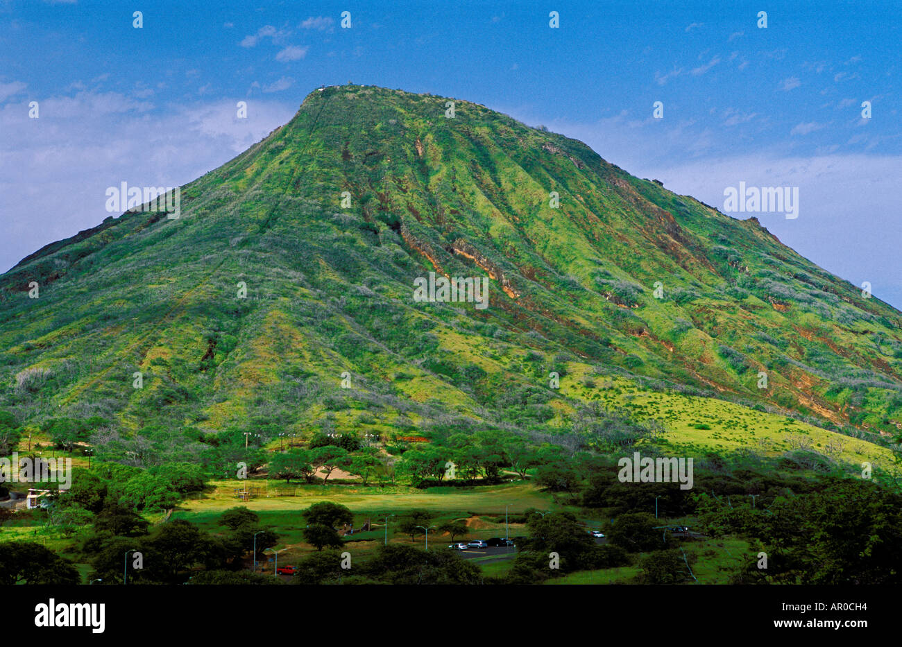 Koko hi-res stock photography and images - Alamy