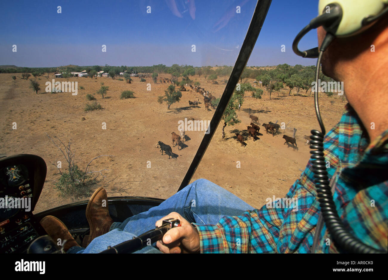 Heli-mustering Lansdowne Station, Kimberley, Australien, West ...