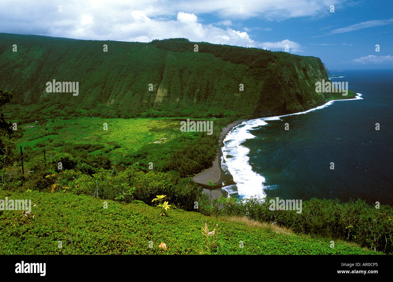 Waipio Valley with the black sand beach surrounded by green mountains ...