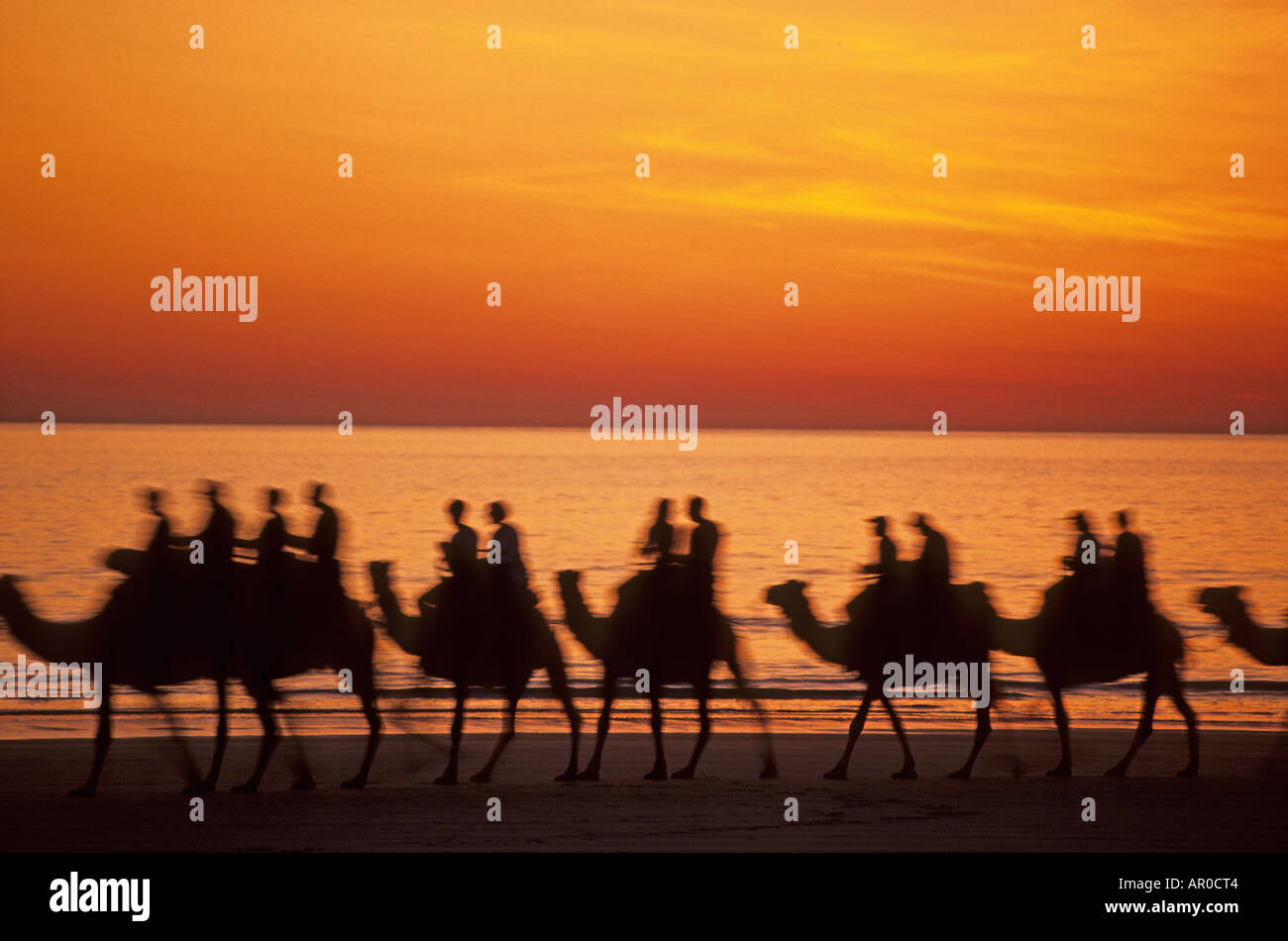 Camel ride on Cable Beach, sunset, Broome, Australia, Western Australia ...