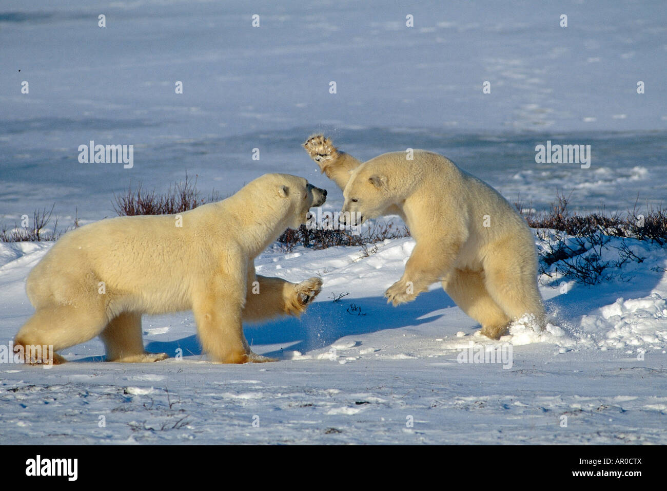 10 hudson bay hi-res stock photography and images - Alamy
