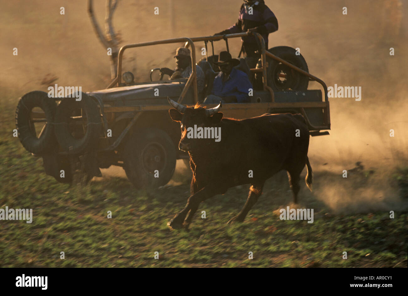 Aboriginal stockmen, Gibb River Station, Kimberle, Australien, West ...