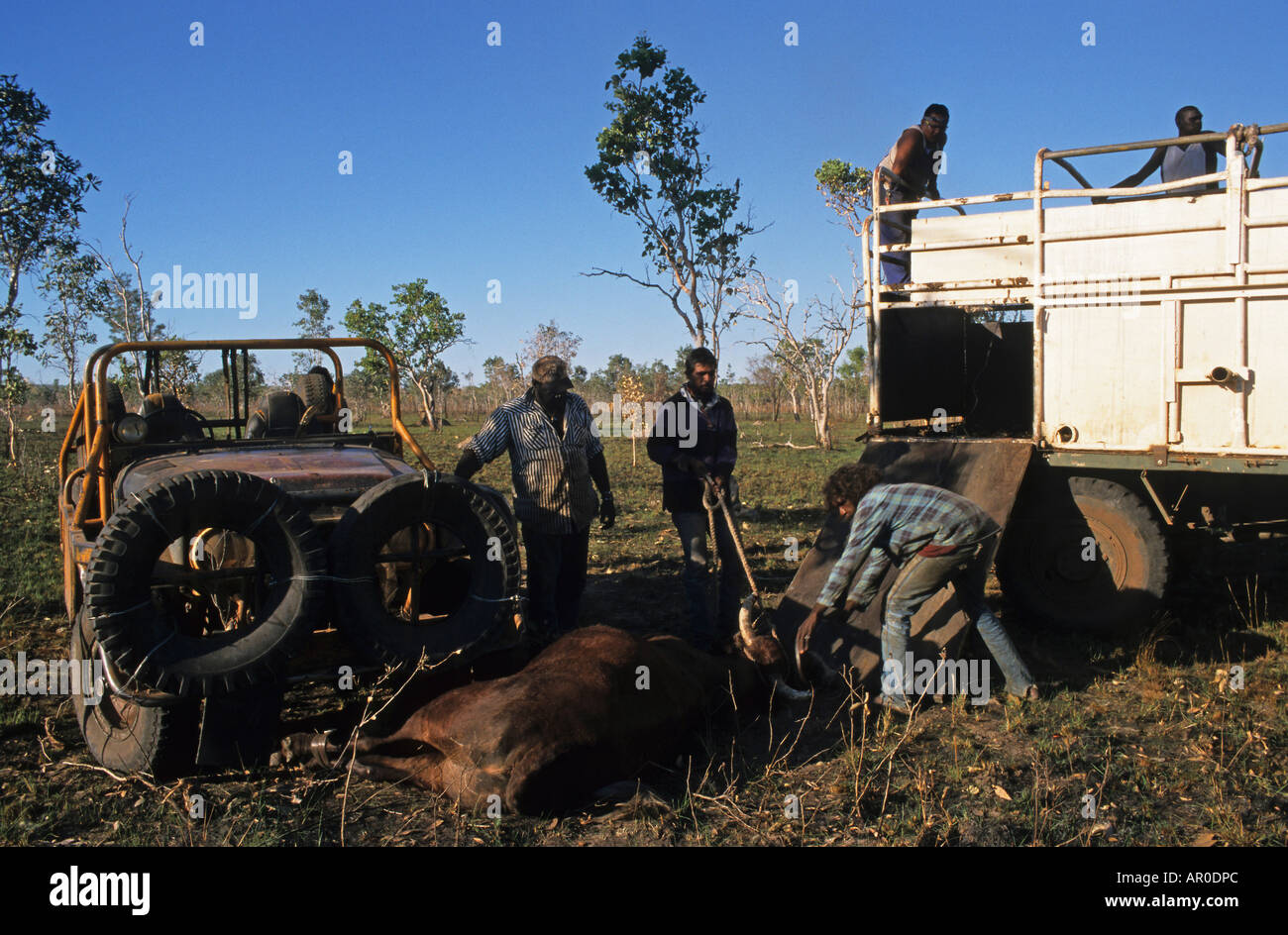 Aboriginal stockmen, Gibb River Station, Kimberley, Australien, West ...