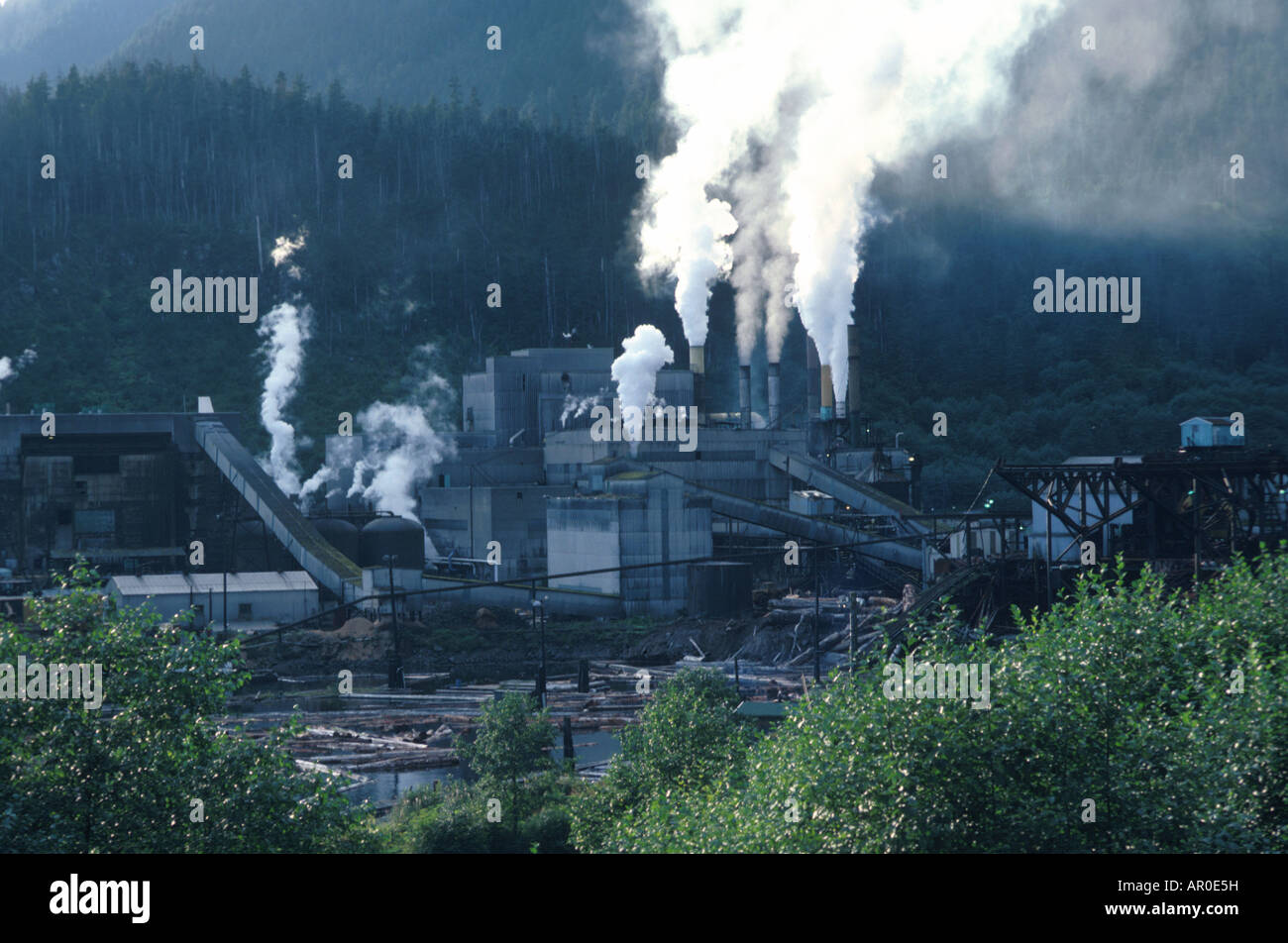 Timber Producing Woodland High Resolution Stock Photography and Images ...
