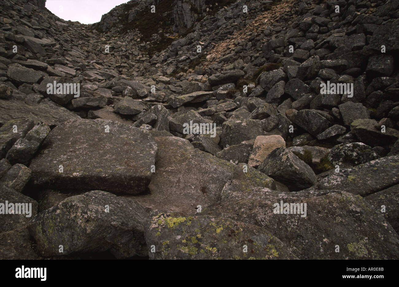 SCOTLAND Scottish Highlands Cairngorm National Park The huge boulders ...
