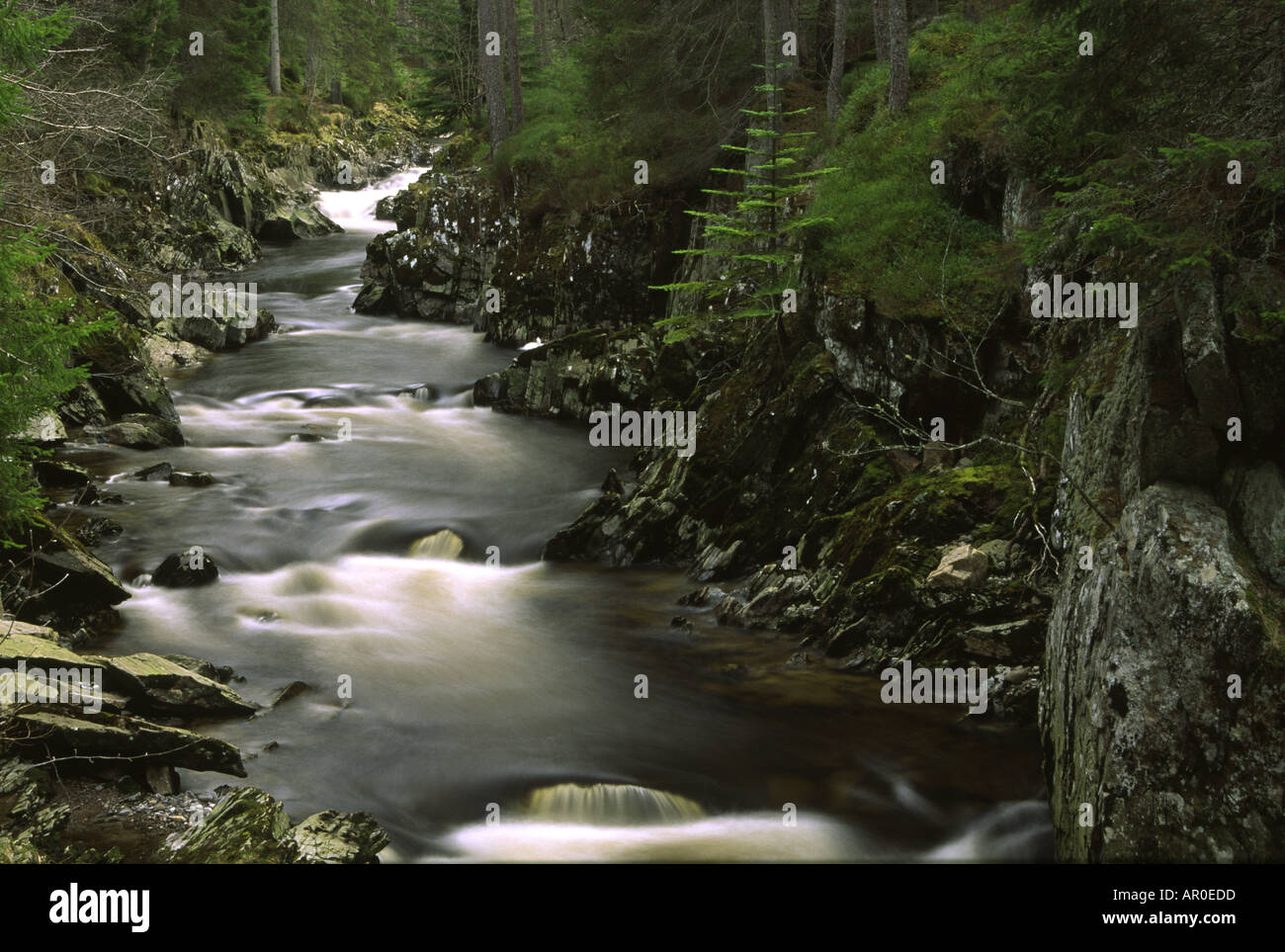 SCOTLAND Scottish Highlands Cainrgorm National Park The fast flowing ...