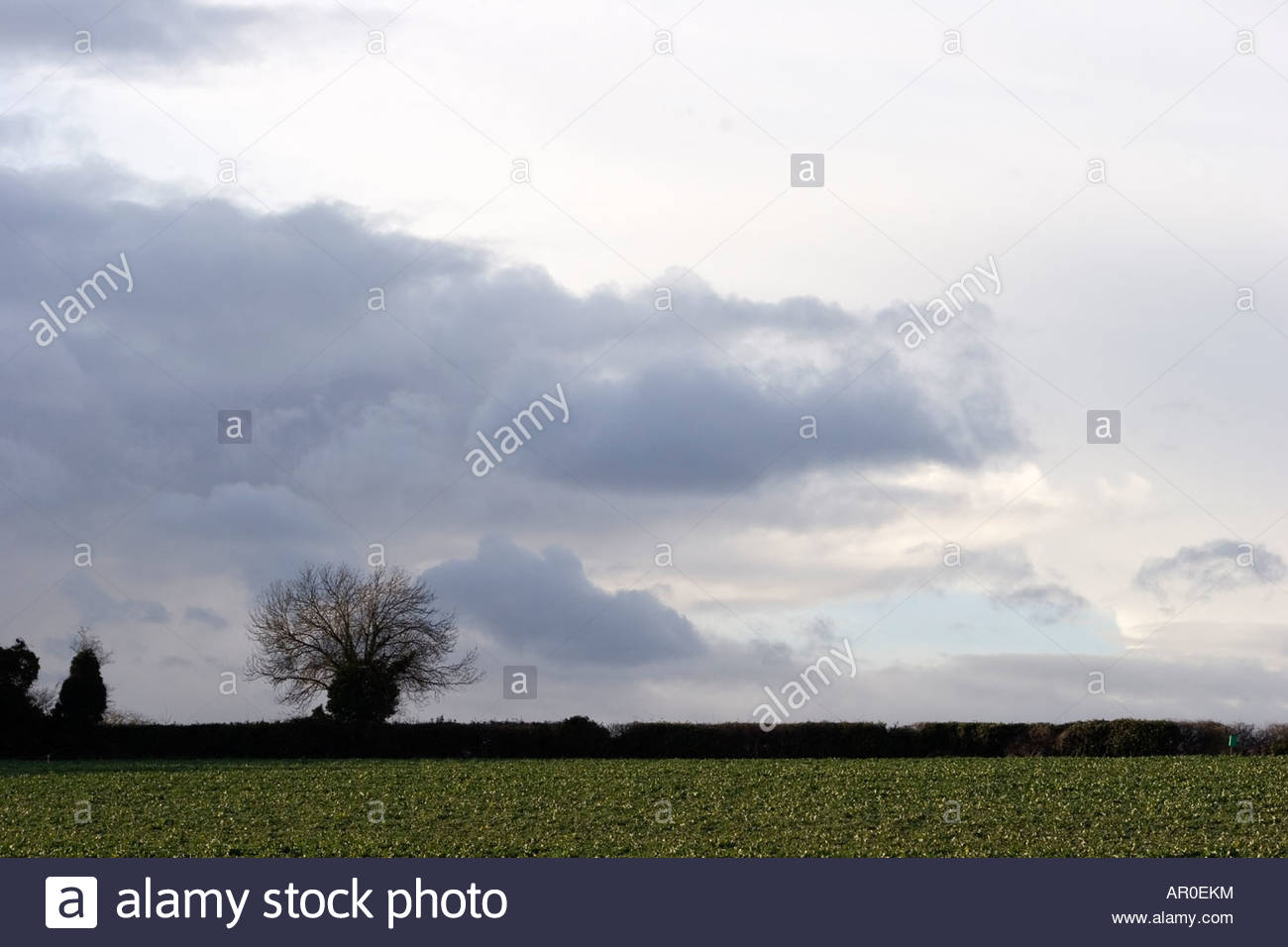 Grey Gray Skies High Resolution Stock Photography and Images - Alamy
