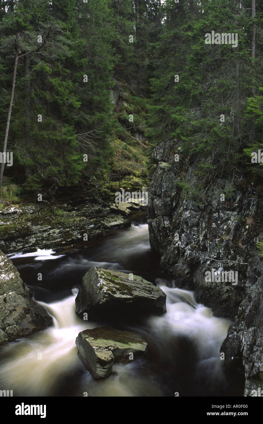 SCOTLAND Scottish Highlands Cainrgorm National Park The fast flowing ...