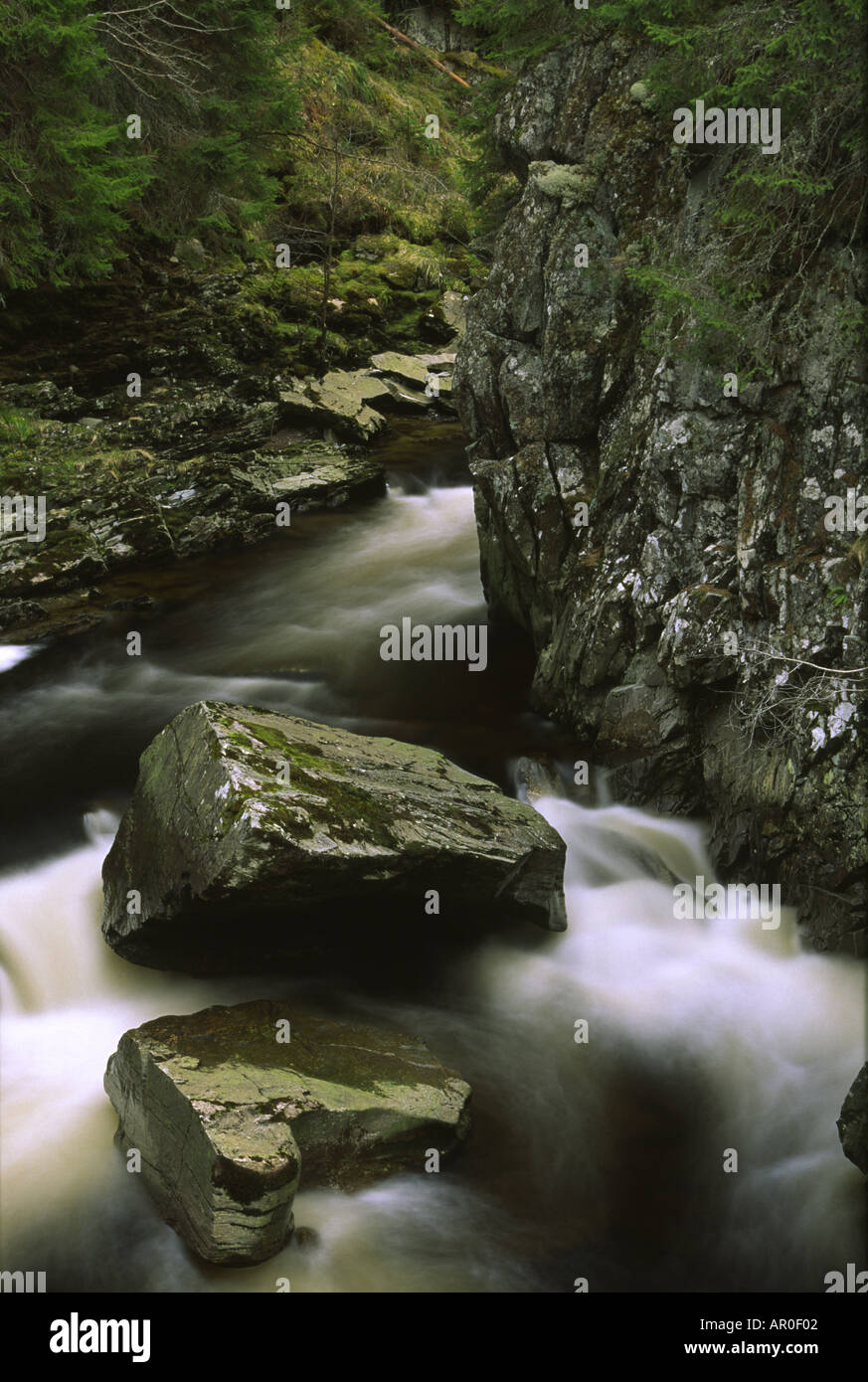 SCOTLAND Scottish Highlands Cainrgorm National Park The fast flowing ...