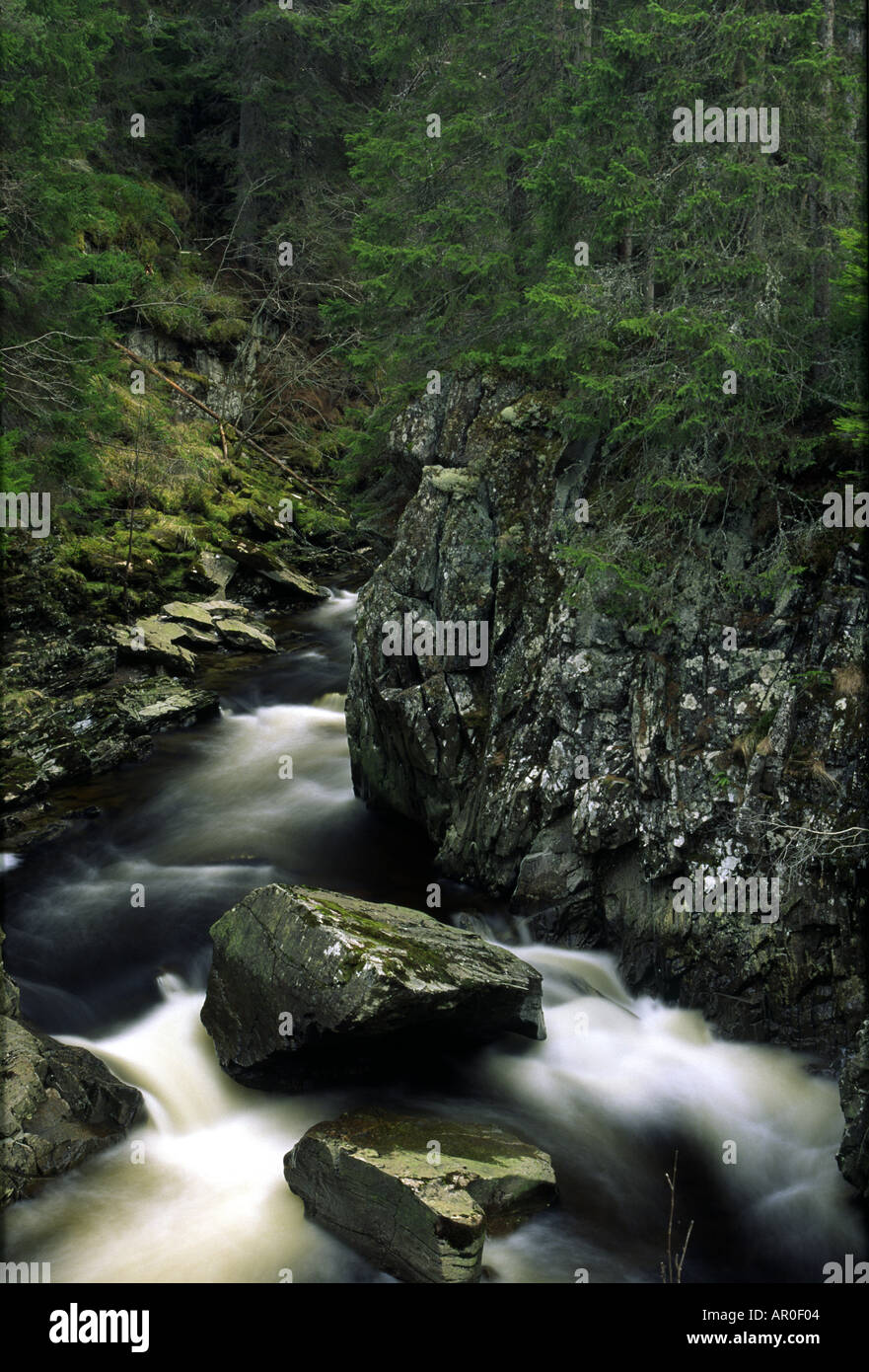 SCOTLAND Scottish Highlands Cainrgorm National Park The fast flowing ...
