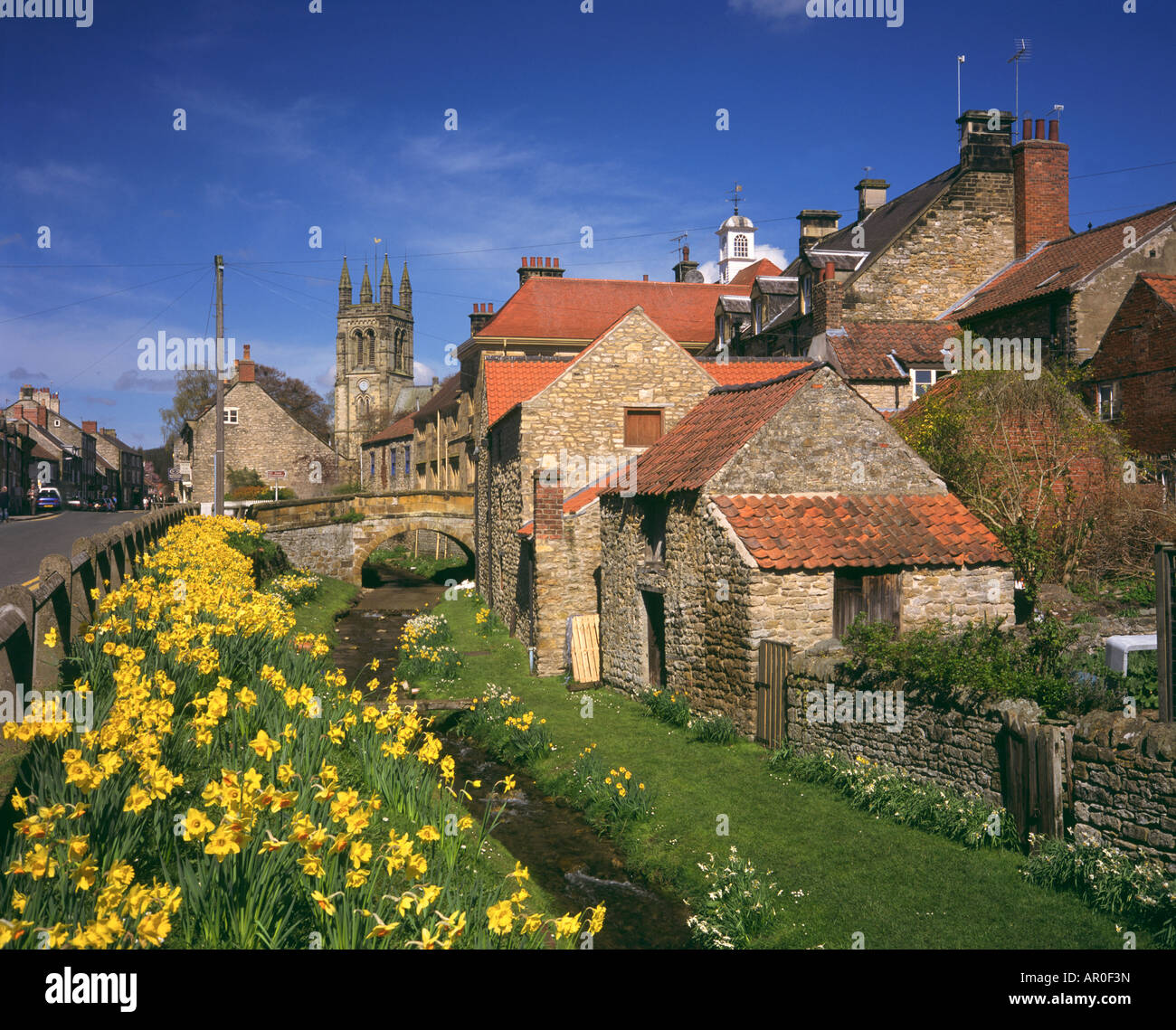 springtime daffodils in Helmsley North Yorkshire Moors UK Stock Photo ...