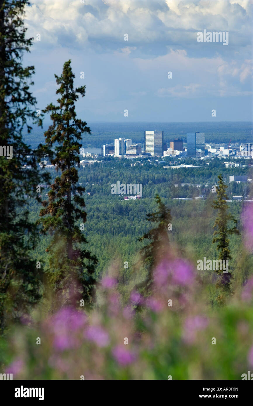 View of Anchorage Skyline from Hillside in Chugach Mtns, Southcentral ...