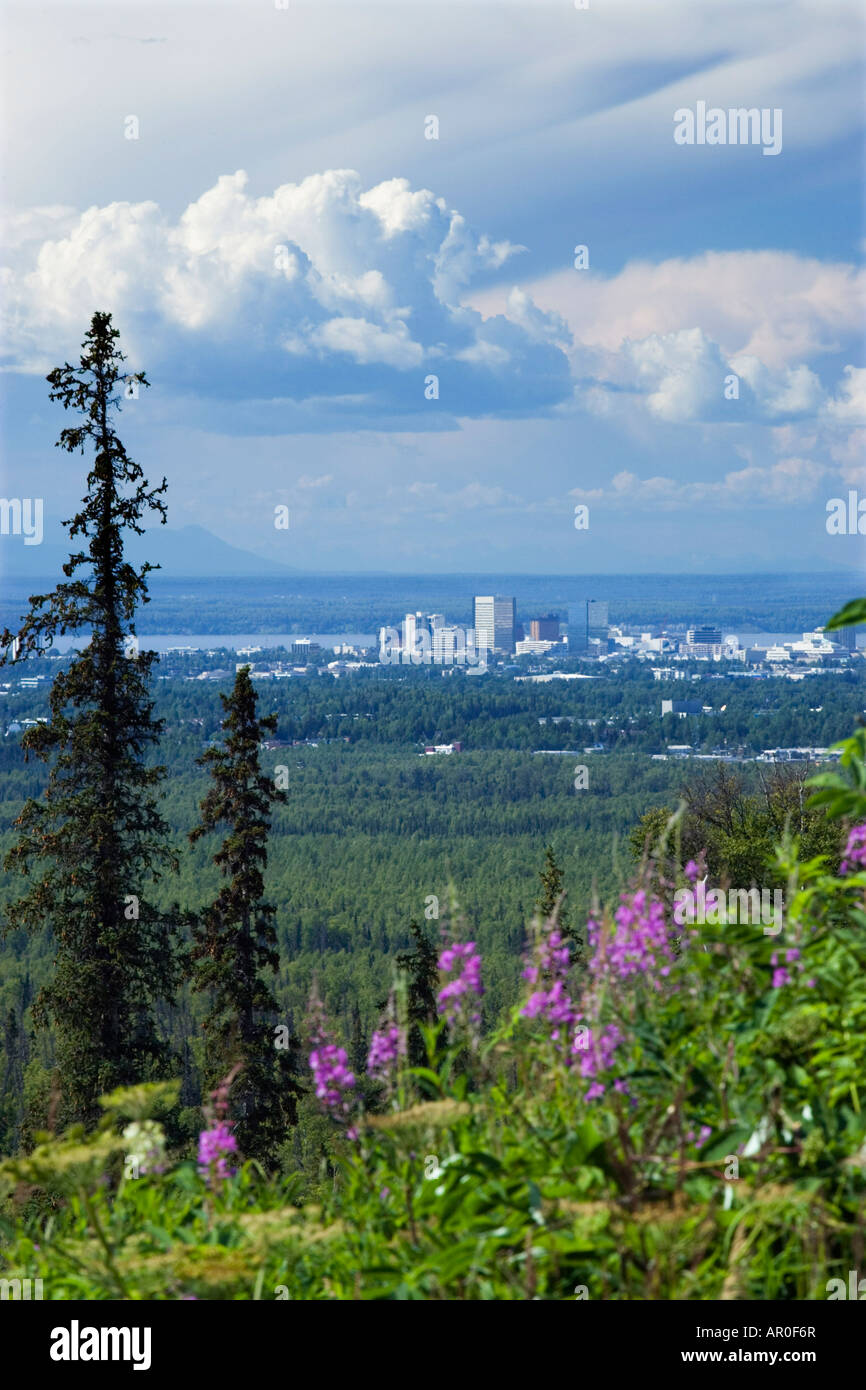View of Anchorage Skyline from Hillside in Chugach Mtns, Southcentral ...