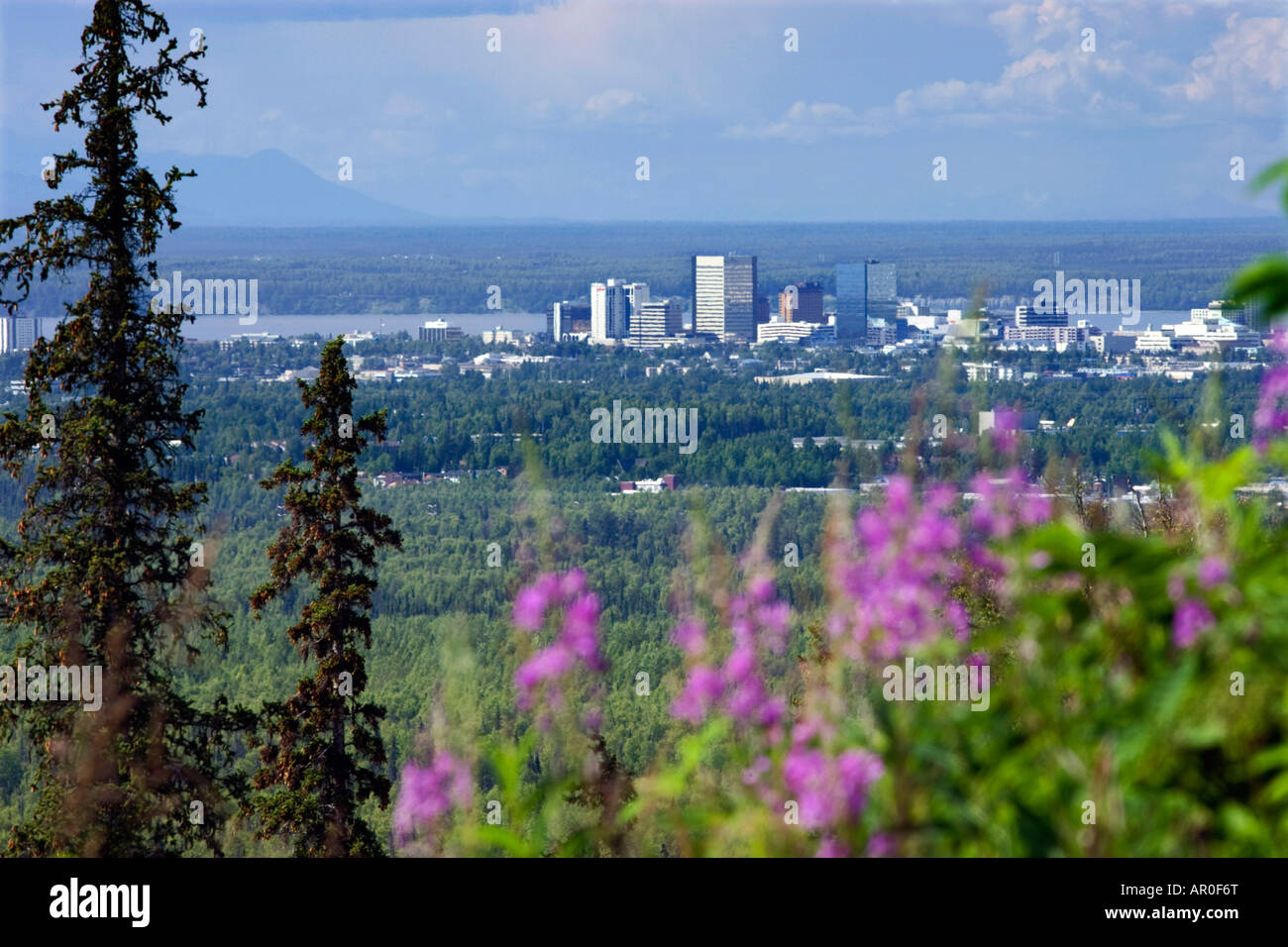 View of Anchorage Skyline from Hillside in Chugach Mtns, Southcentral ...