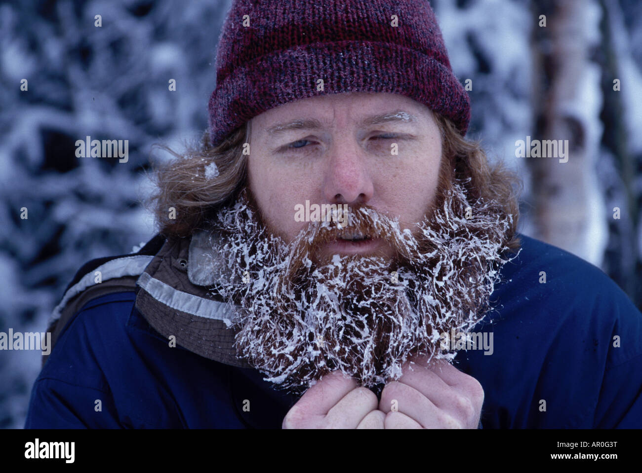 Frosted Beard High Resolution Stock Photography and Images - Alamy
