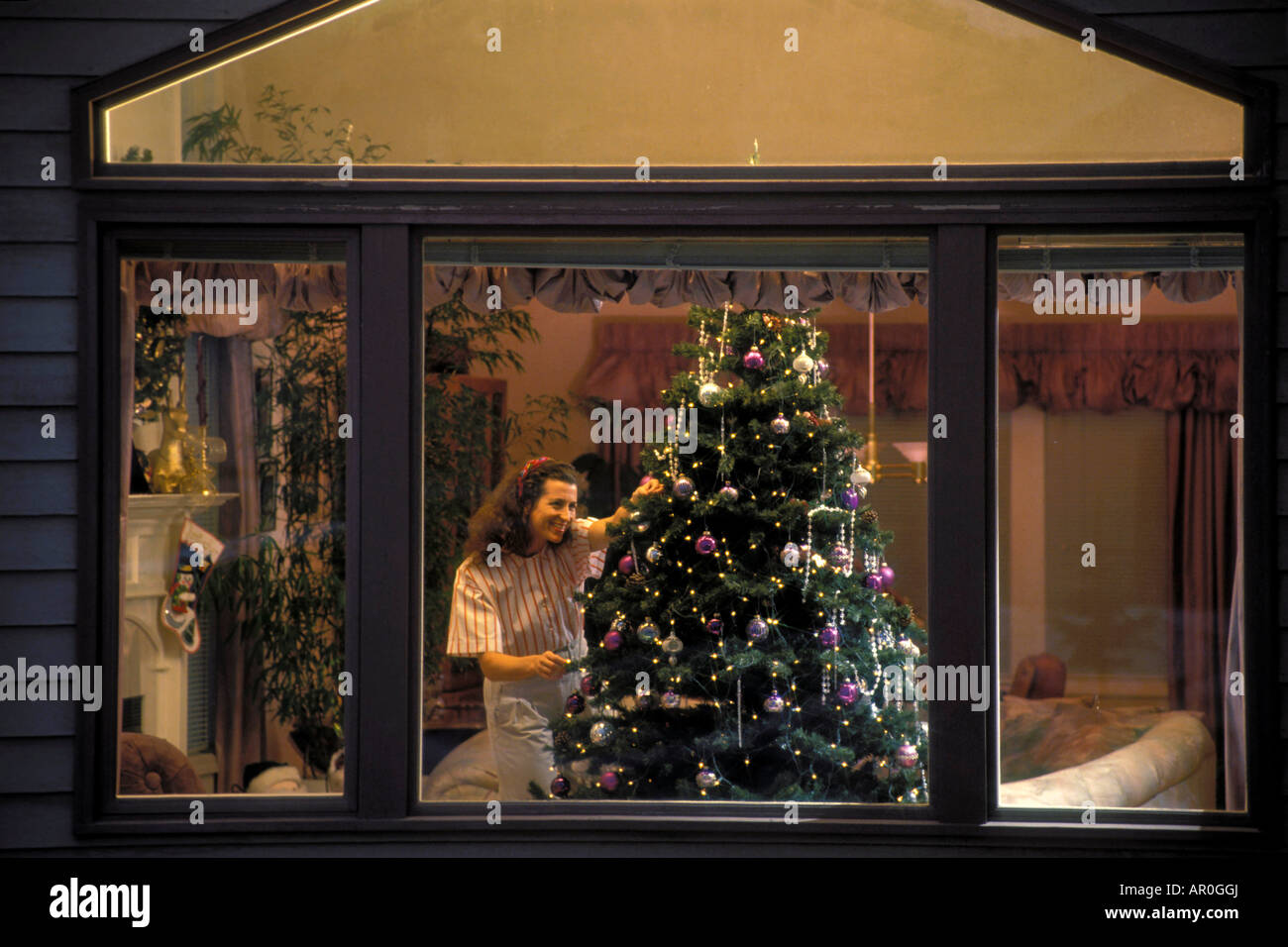 Woman decorates Christmas tree in home / thru window Stock Photo - Alamy