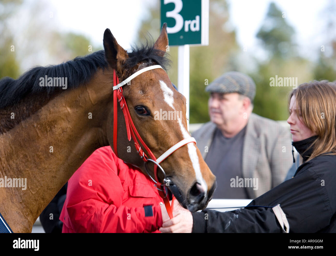 Horse racing lingfield races hi-res stock photography and images - Alamy