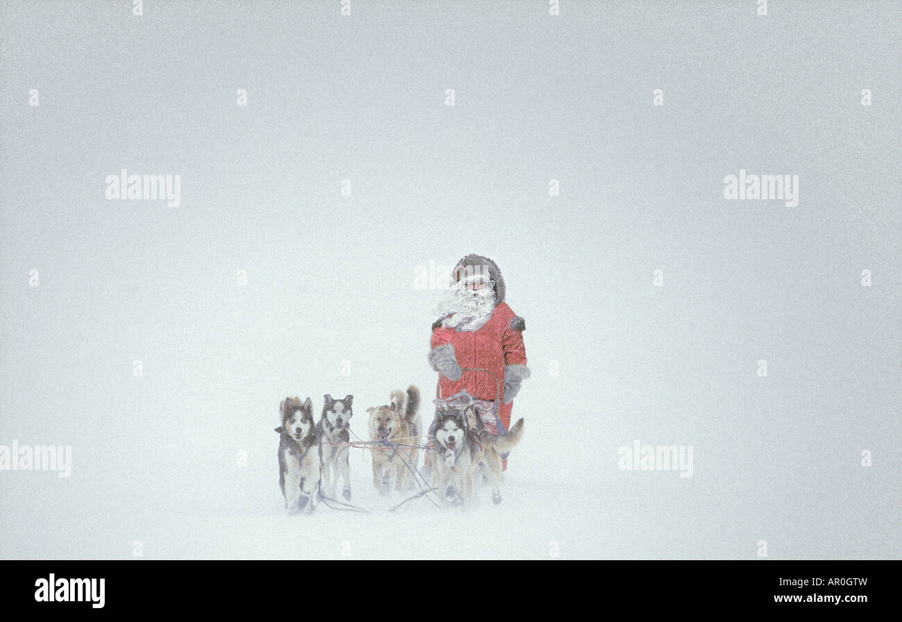 Musher beard hi-res stock photography and images - Alamy