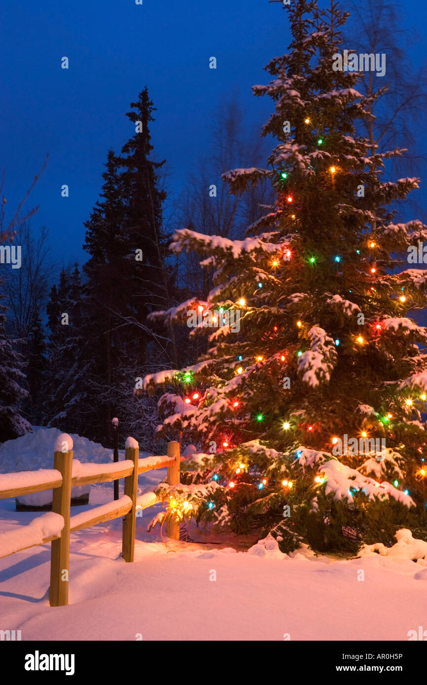 Anchorage night christmas tree hi-res stock photography and images - Alamy