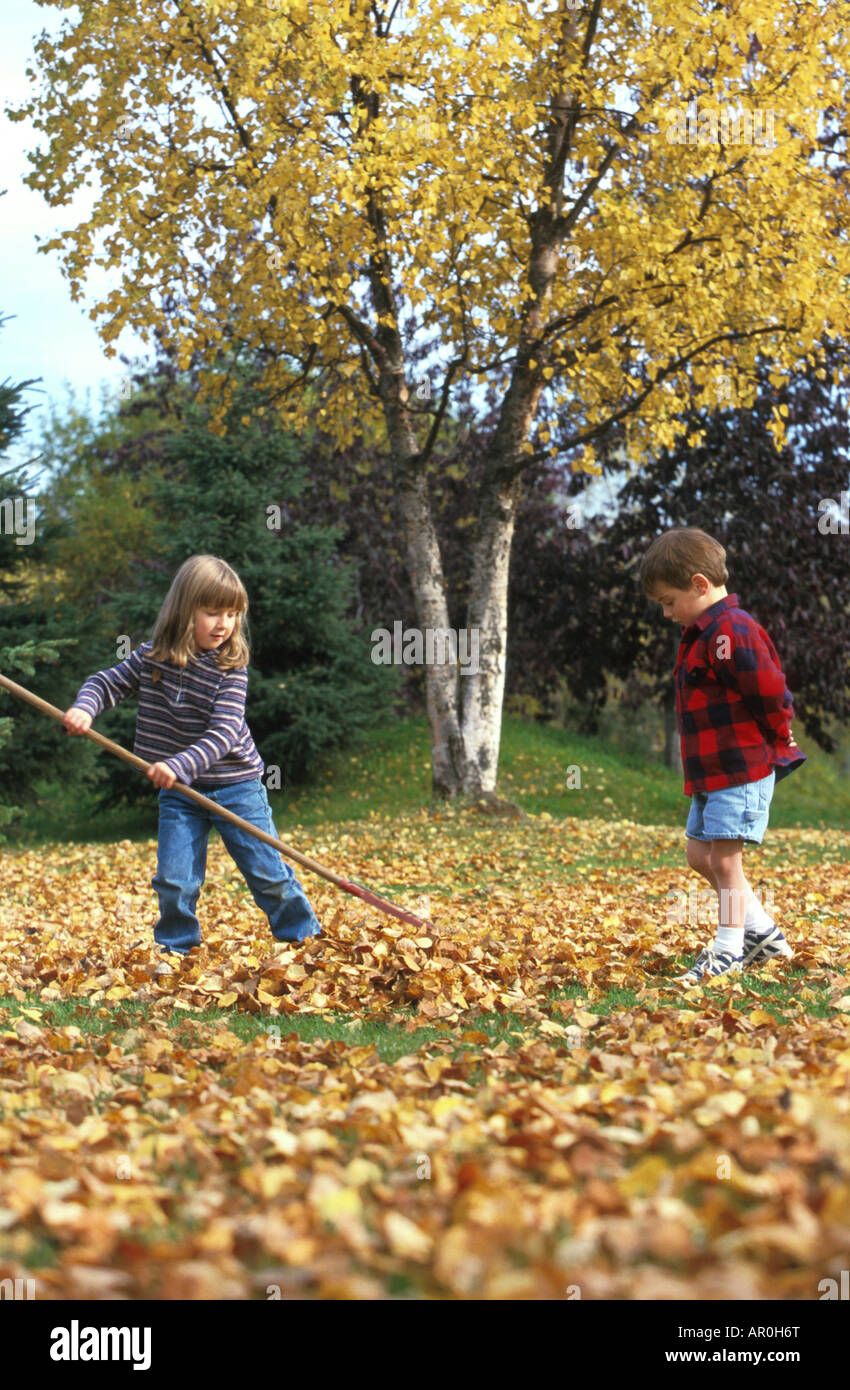 Little Girl Raking Fallen Leaves Anchorage AK Autum Stock Photo - Alamy