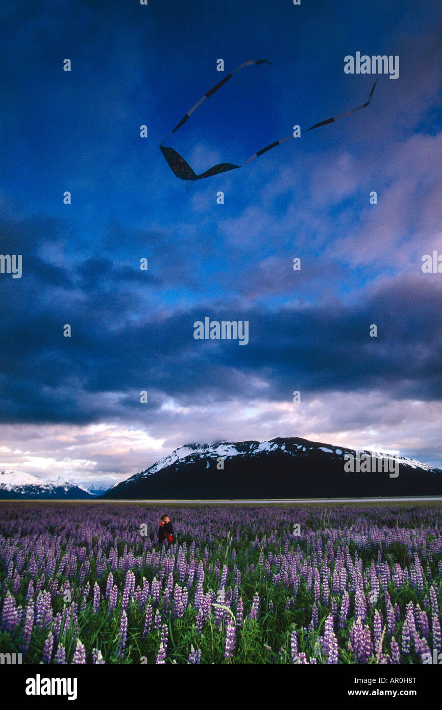 Flying kite 20 Mile River Kenai Mtns Turnagain Arm AK summer scenic ...