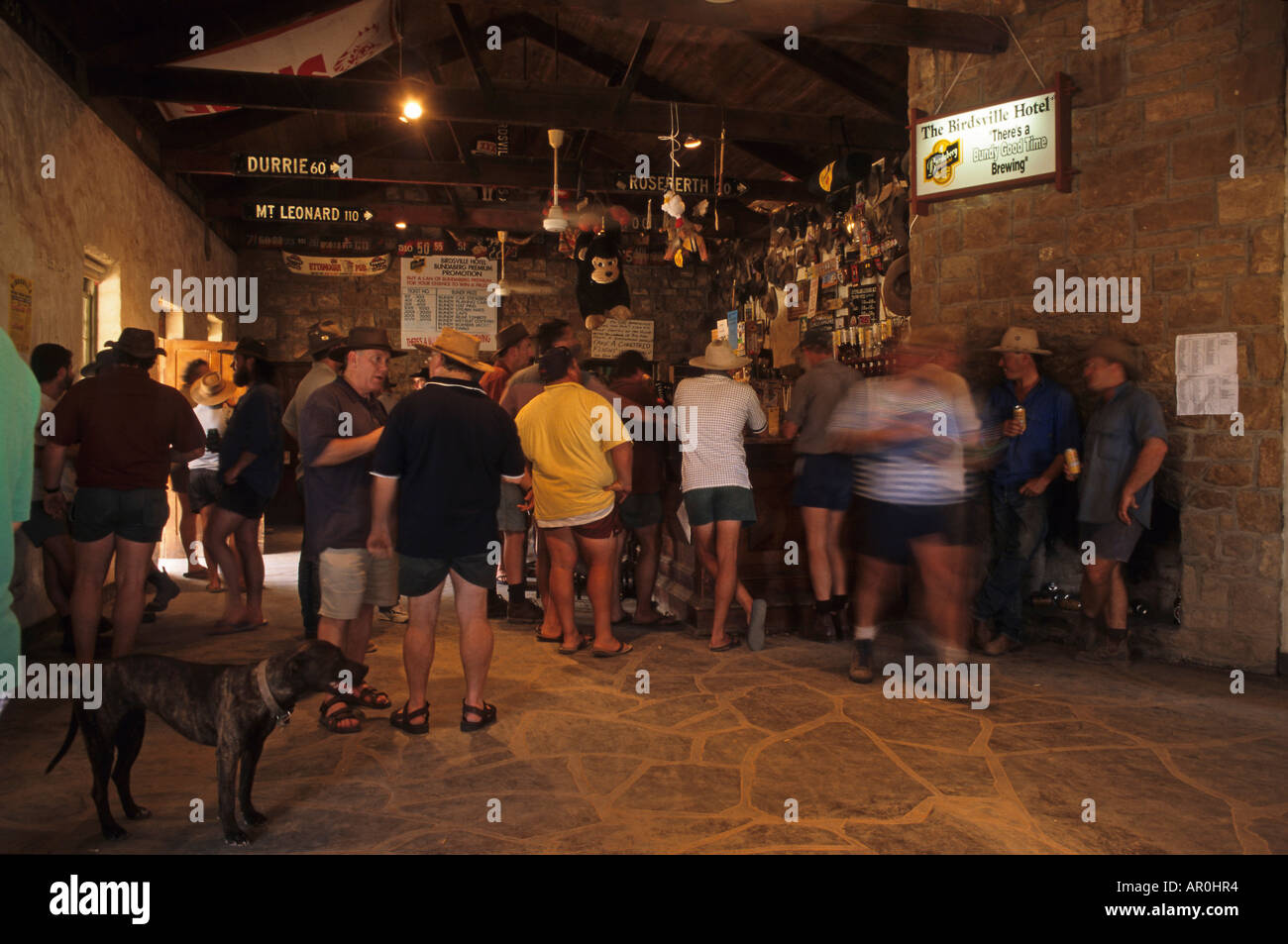 Drinking at the famous Birdsville Pub, race weeken, Australien ...