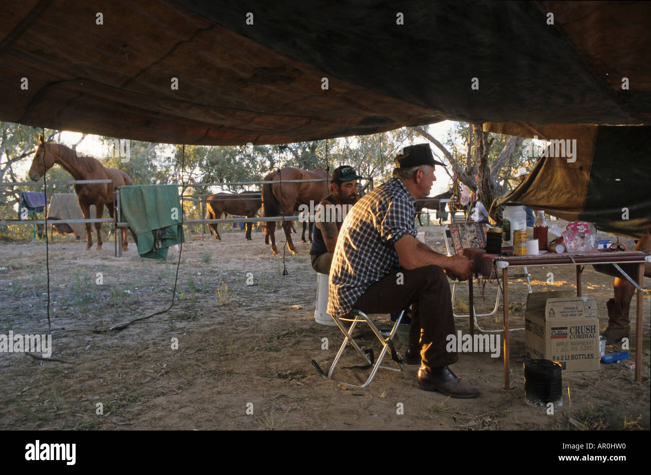 camping, Birdsville outback races, Queensland, Australia Stock Photo ...
