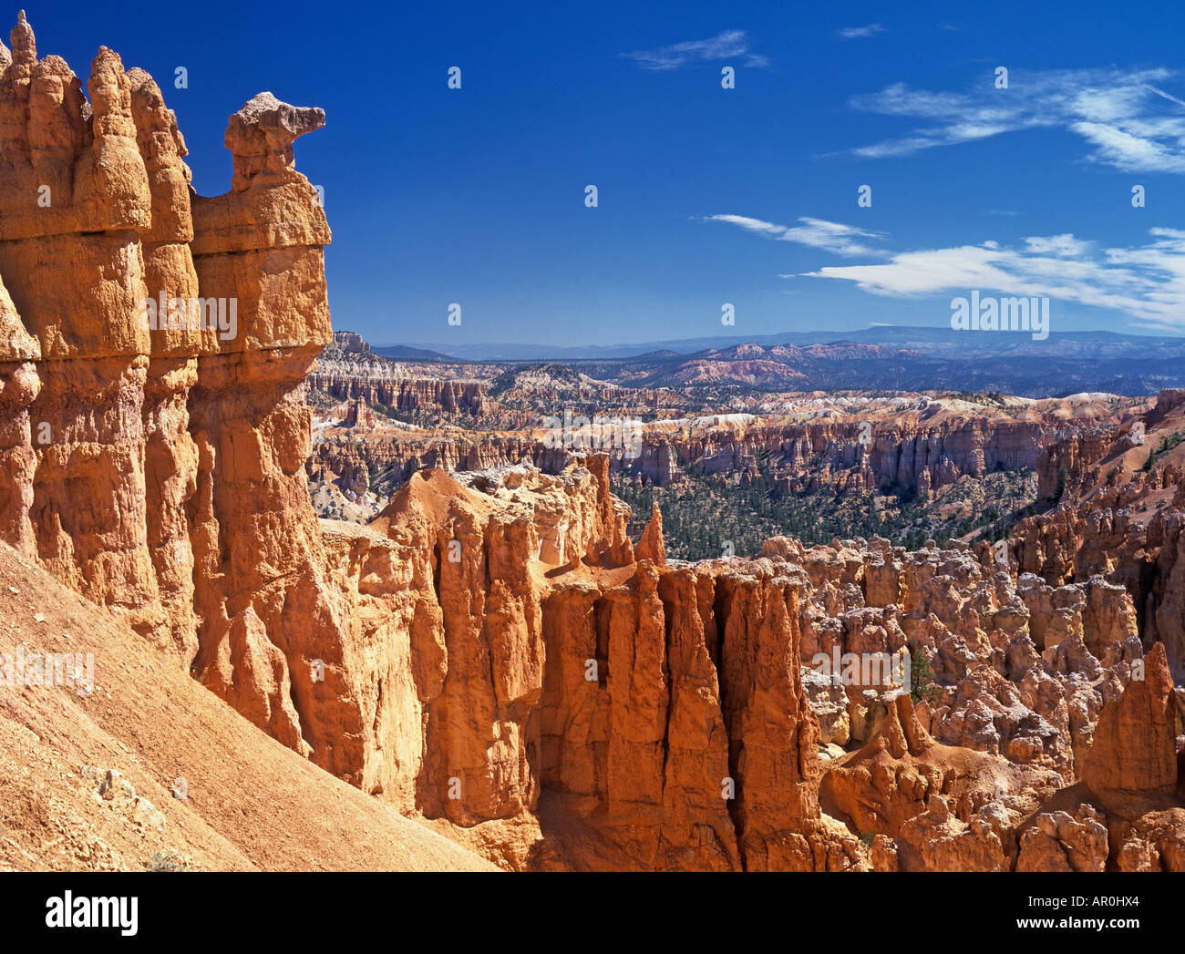 Under the rim bryce canyon hi-res stock photography and images - Alamy
