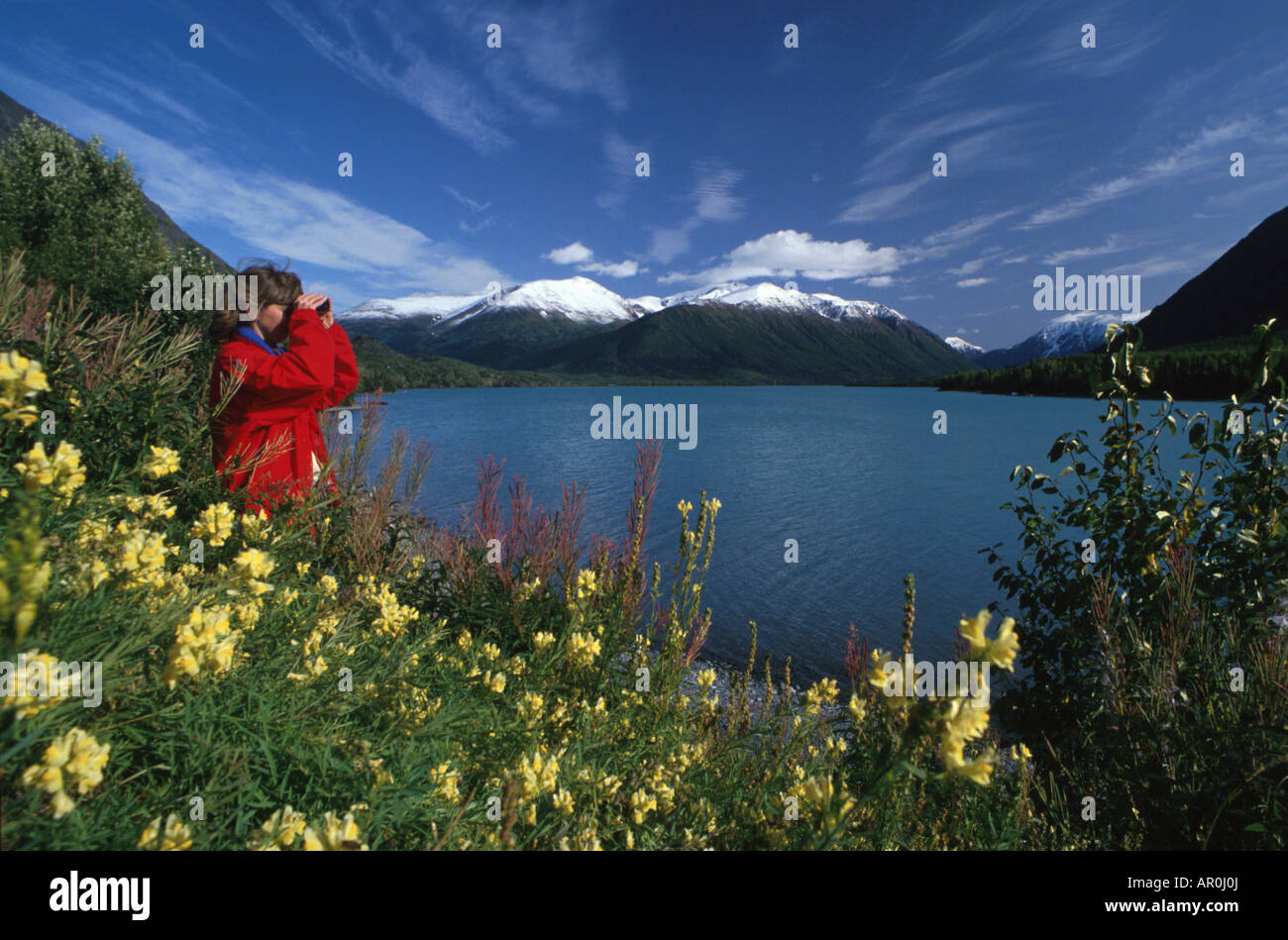 Visitor viewing Kenai Lake & Mtns Kenai Penn Alaska Stock Photo - Alamy