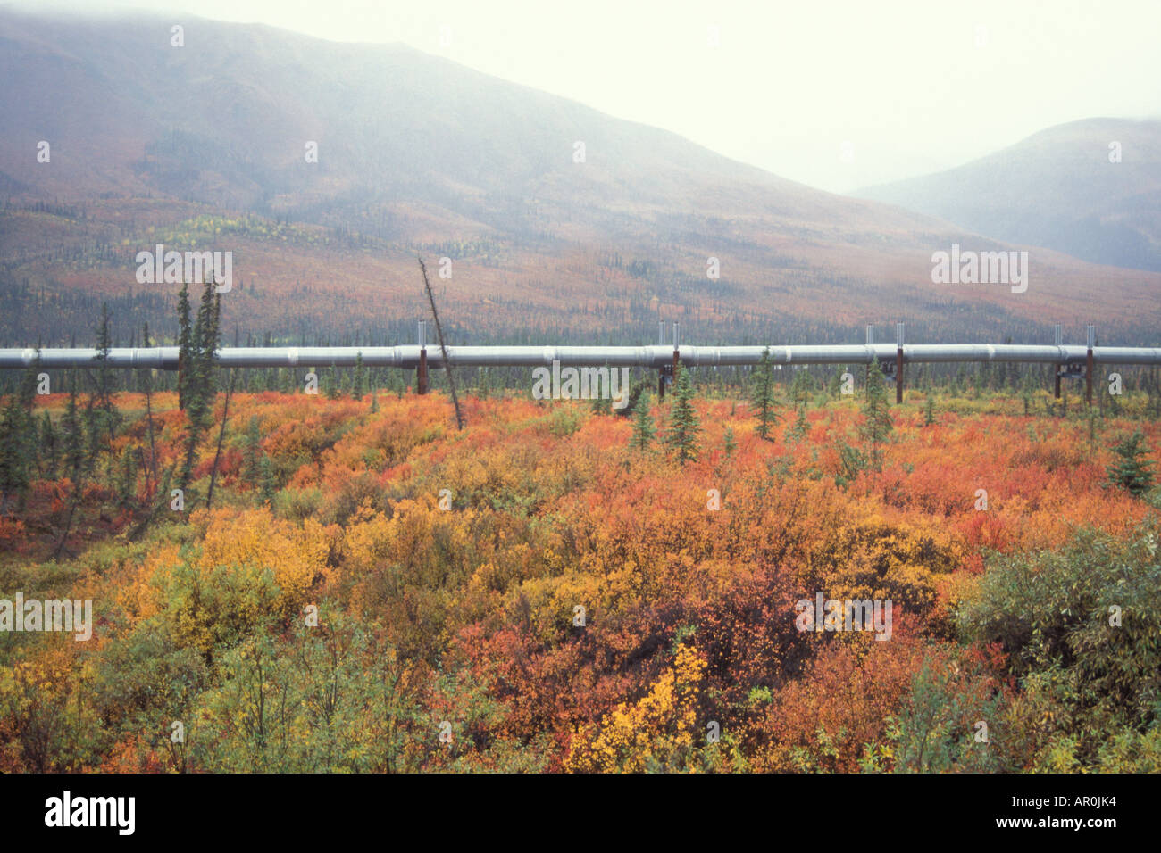 Alaskan pipeline with fall tundra colors southside of the Brooks Range ...