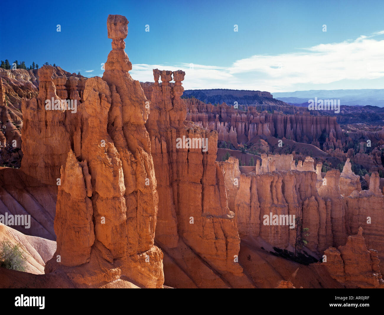 Thors Hammer at the Navajo Loop Trail at Sunset Point, Bryce Canyon ...