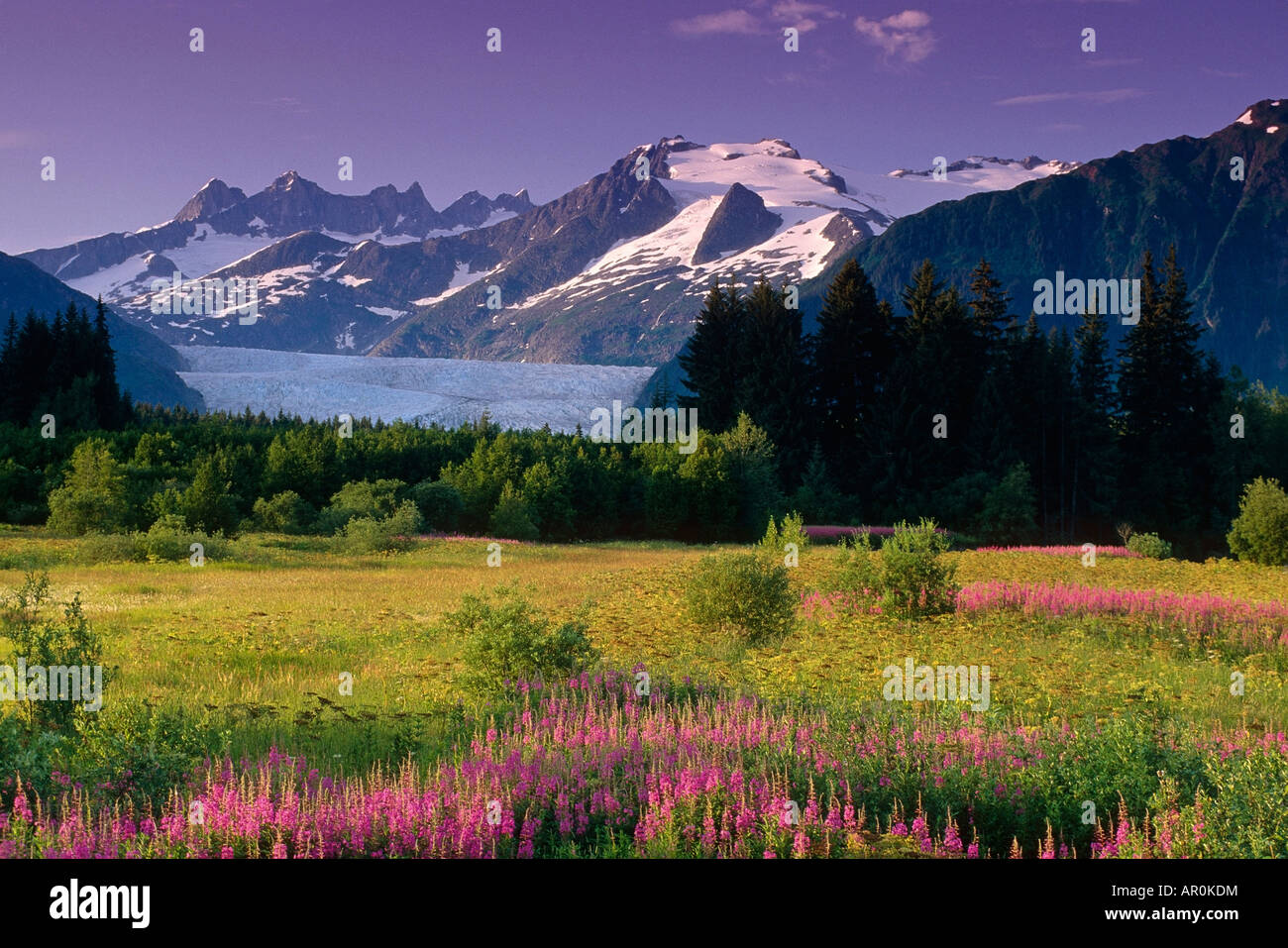 Brotherhood bridge alaska hi-res stock photography and images - Alamy