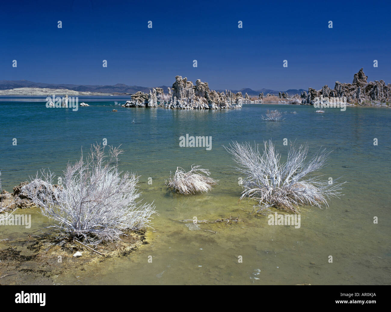 Bizarre formations and mono lake hi-res stock photography and images ...