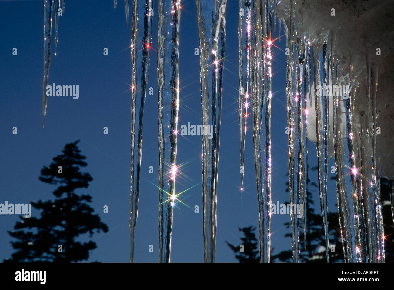 Icicles hang detail Alaska Stock Photo - Alamy