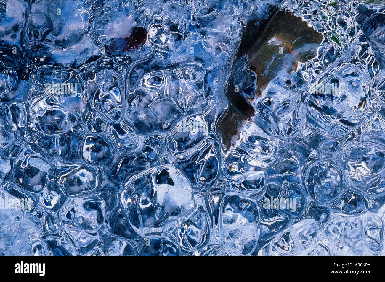 Frozen alaska foliage hi-res stock photography and images - Alamy