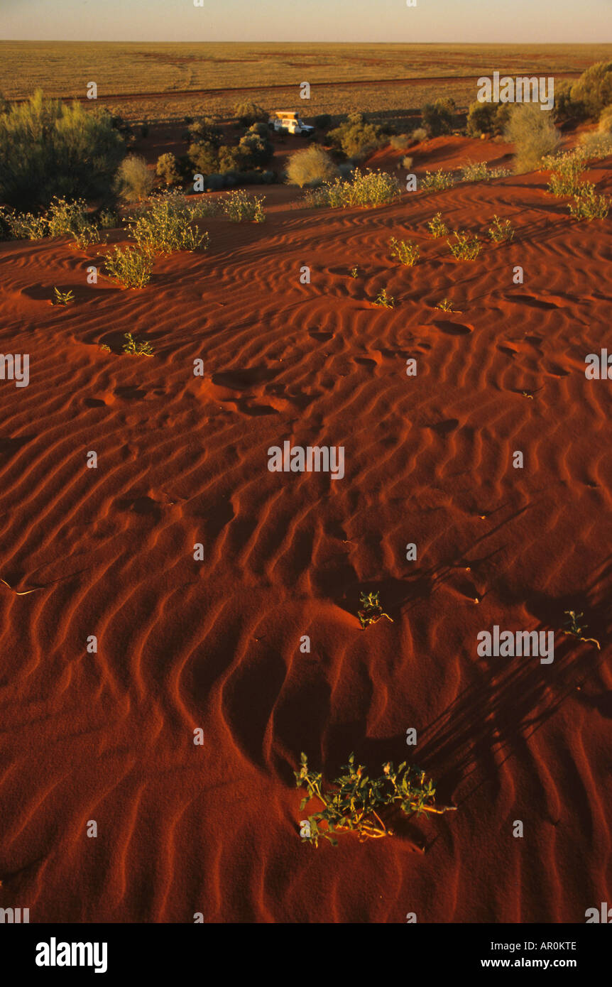 Australia, ripples in red sand dune in outback South Australia Stock ...