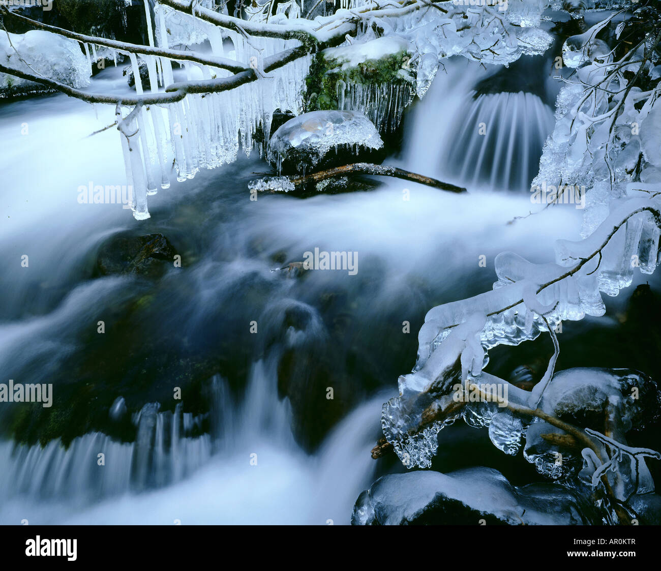 Icicles hang above river Chugach State Park SC AK winter scenic Stock ...