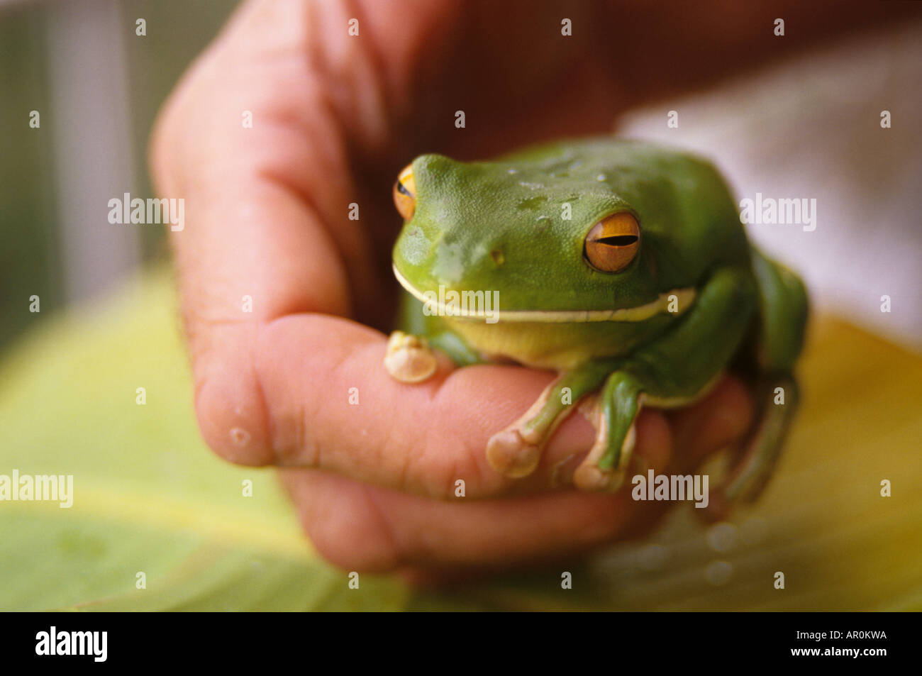 Inside a house hi-res stock photography and images - Alamy