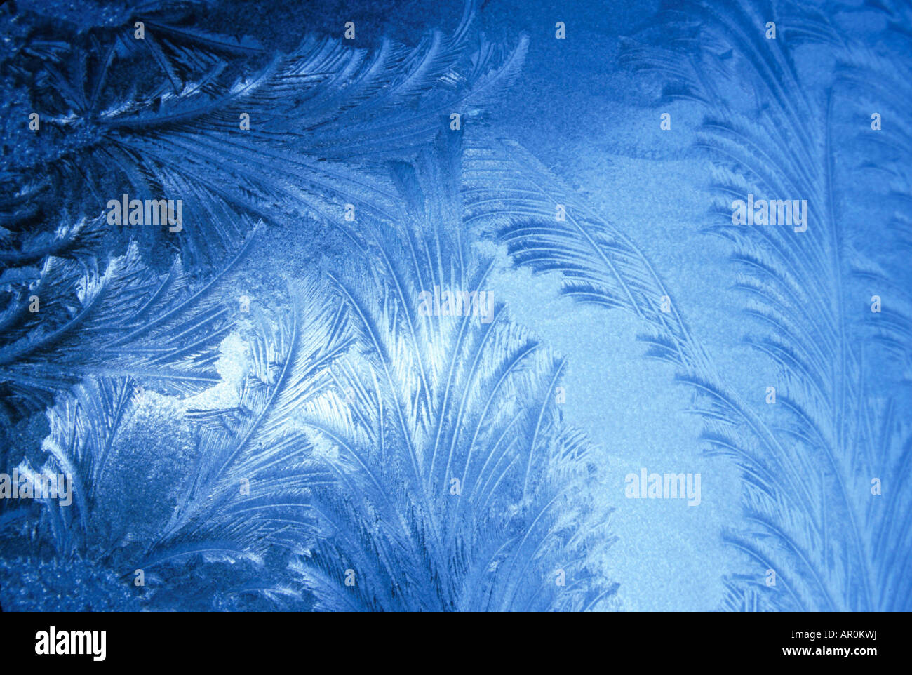Frost on Window Sitka Southeast AK winter detail Stock Photo - Alamy