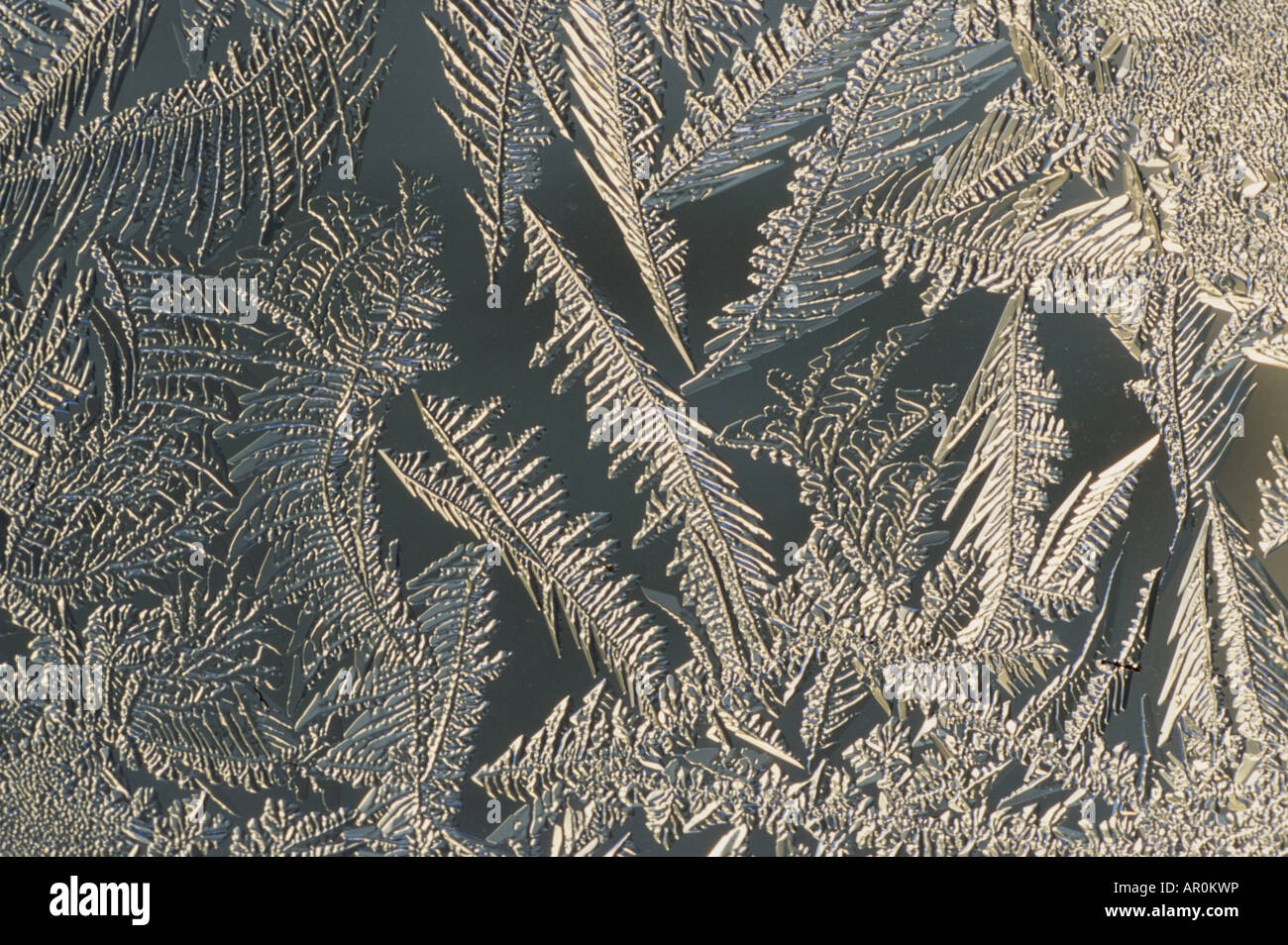Ice Crystal Feather Formations on Window Pane AK Stock Photo - Alamy