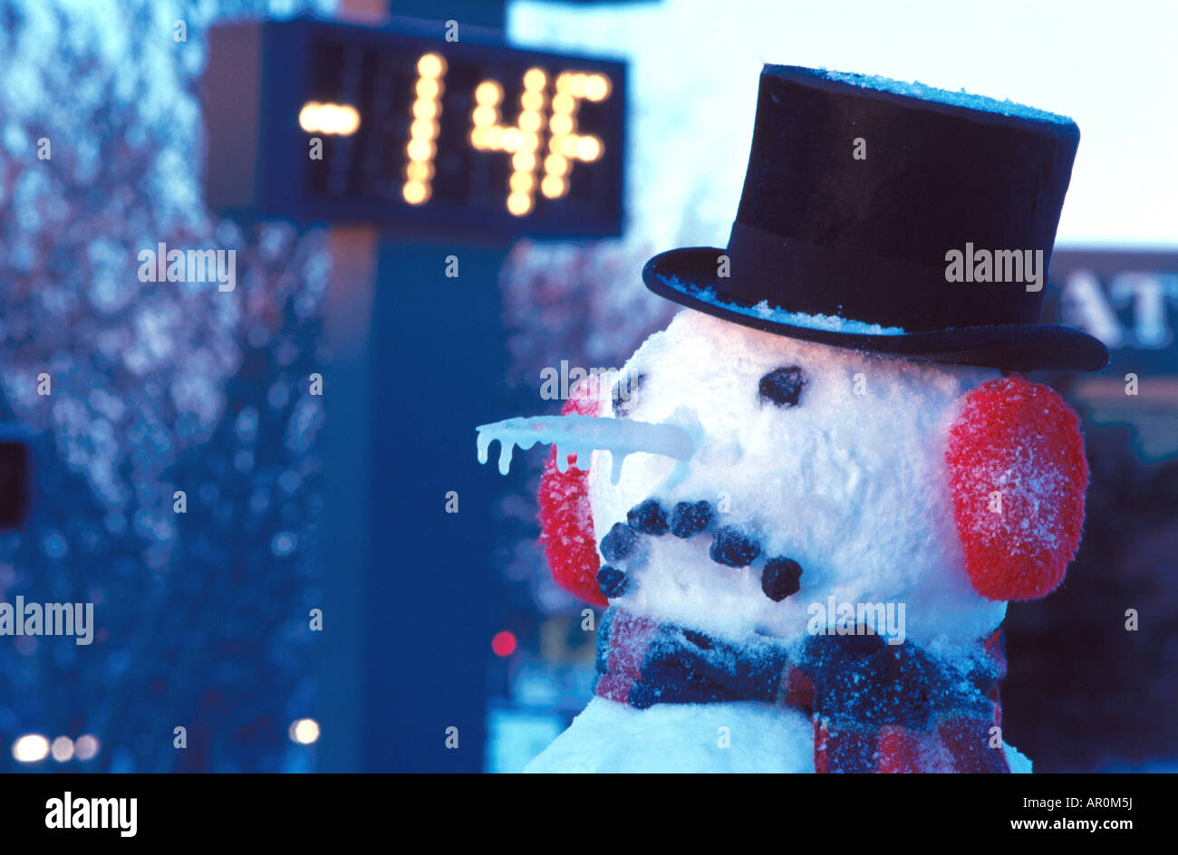 Very cold nose icicle hi-res stock photography and images - Alamy