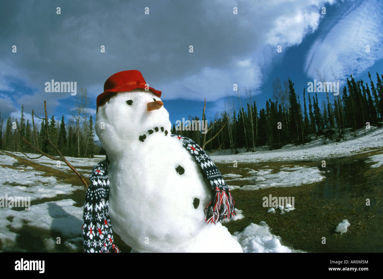 Melting Snowman in spring time Southcentral Alaska Stock Photo - Alamy