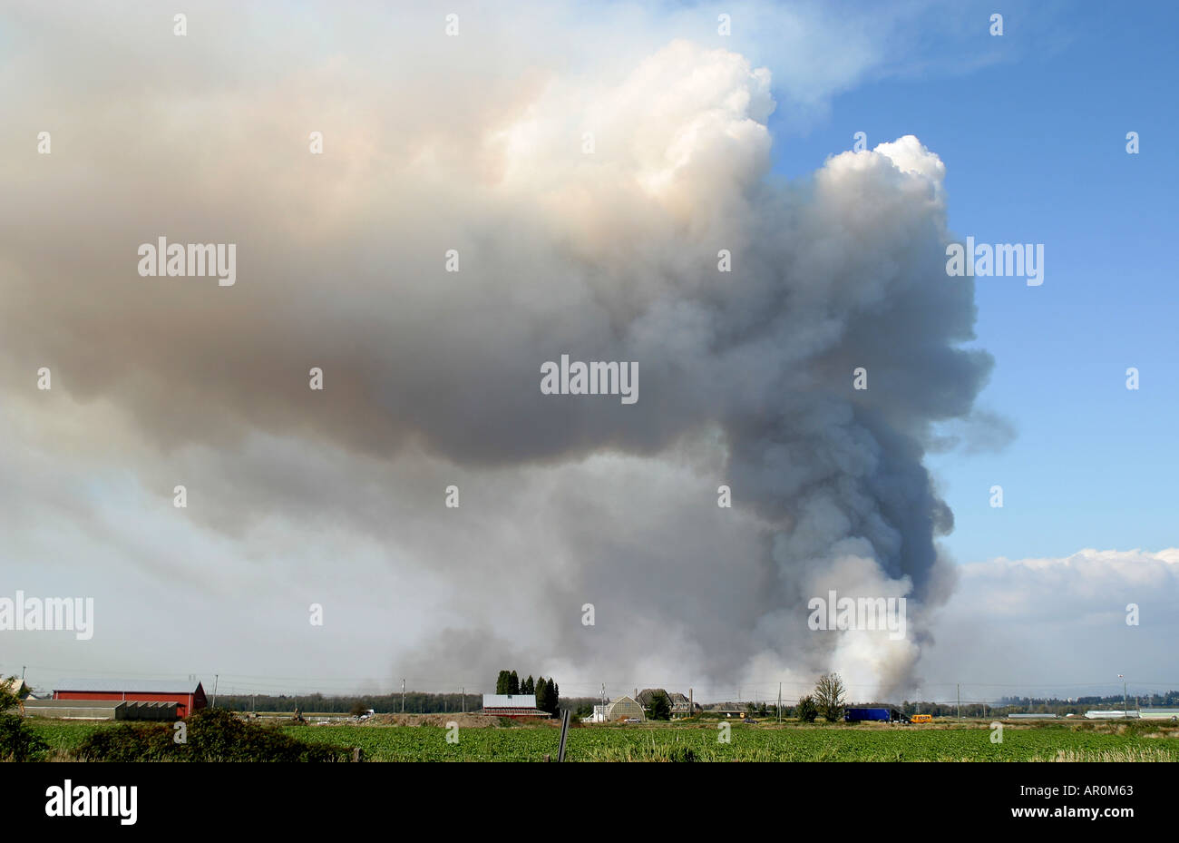 Fire in a bog Stock Photo - Alamy