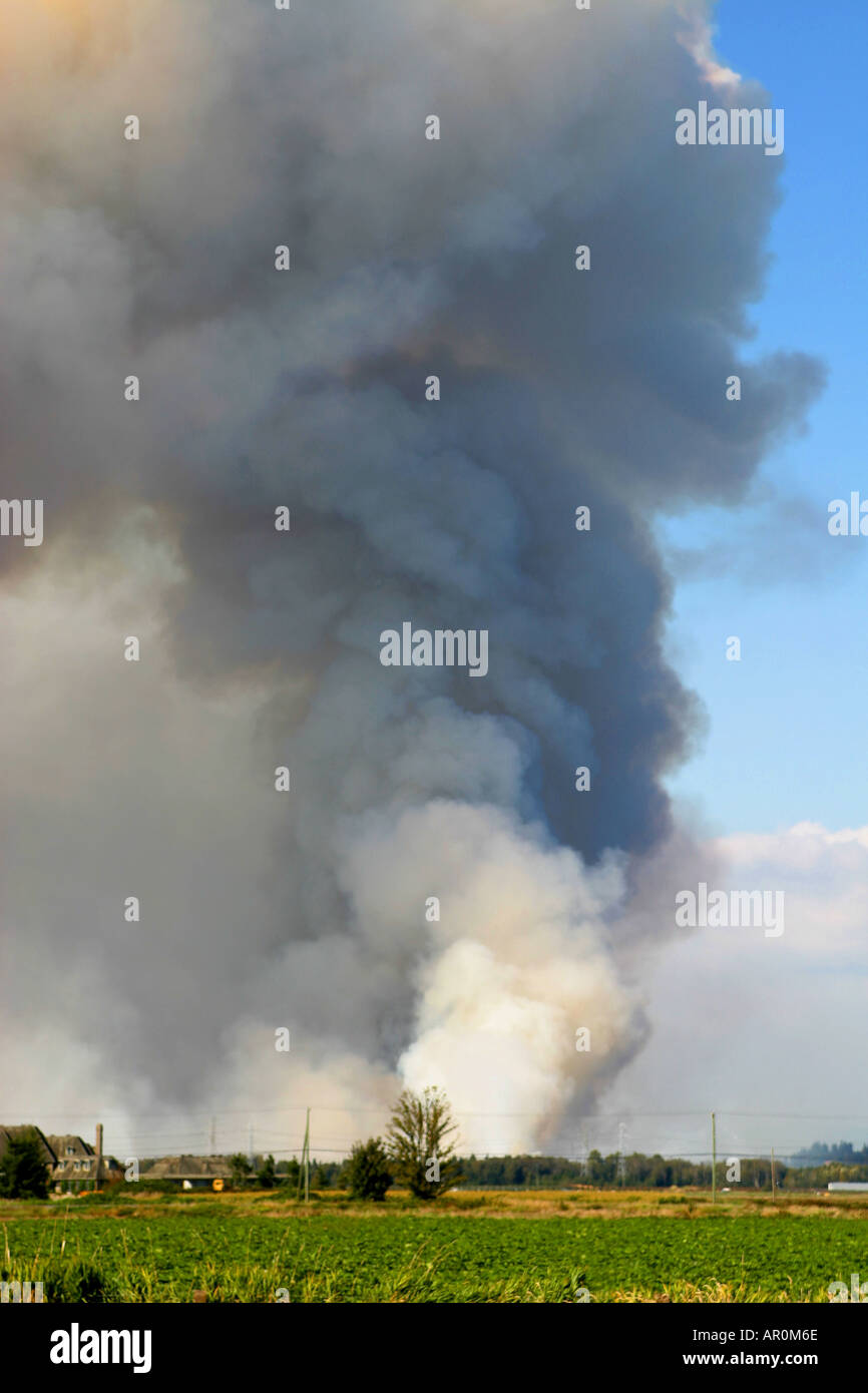 Fire in a bog Stock Photo - Alamy