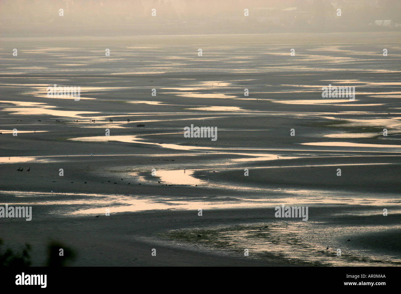 Puddle beach hi-res stock photography and images - Alamy